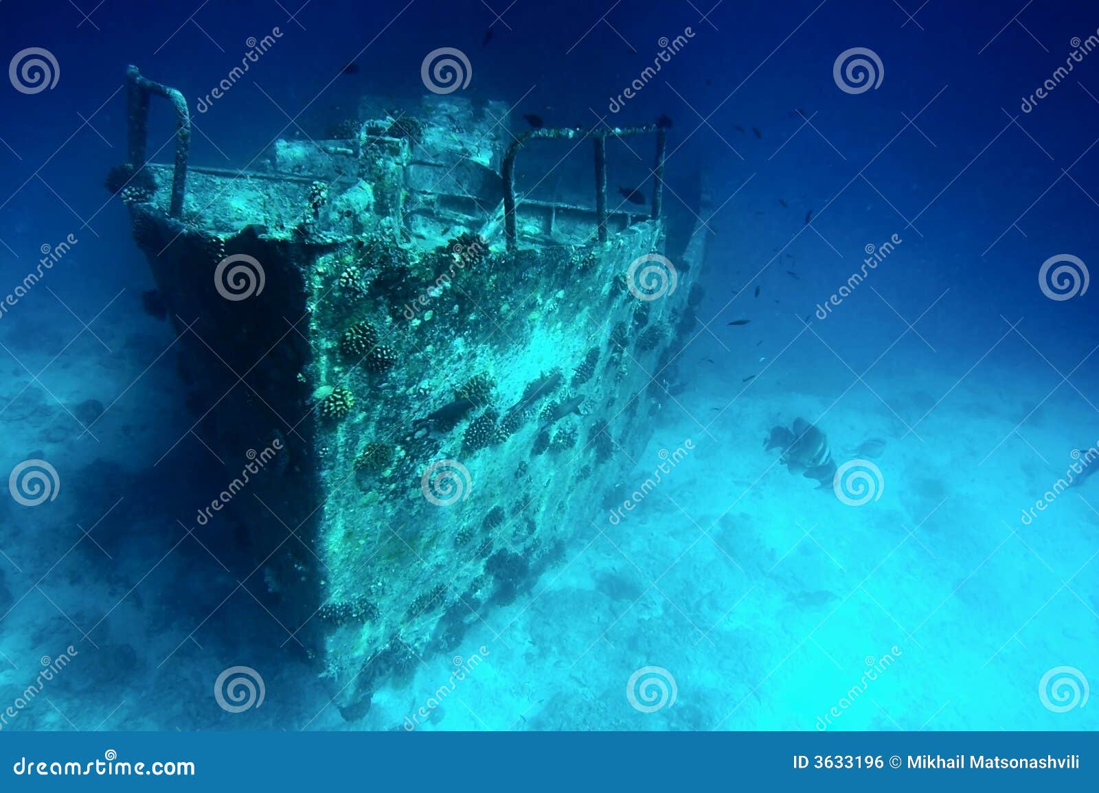 Sunken ship stock photo. Image of shipwreck, history, coral - 3633196