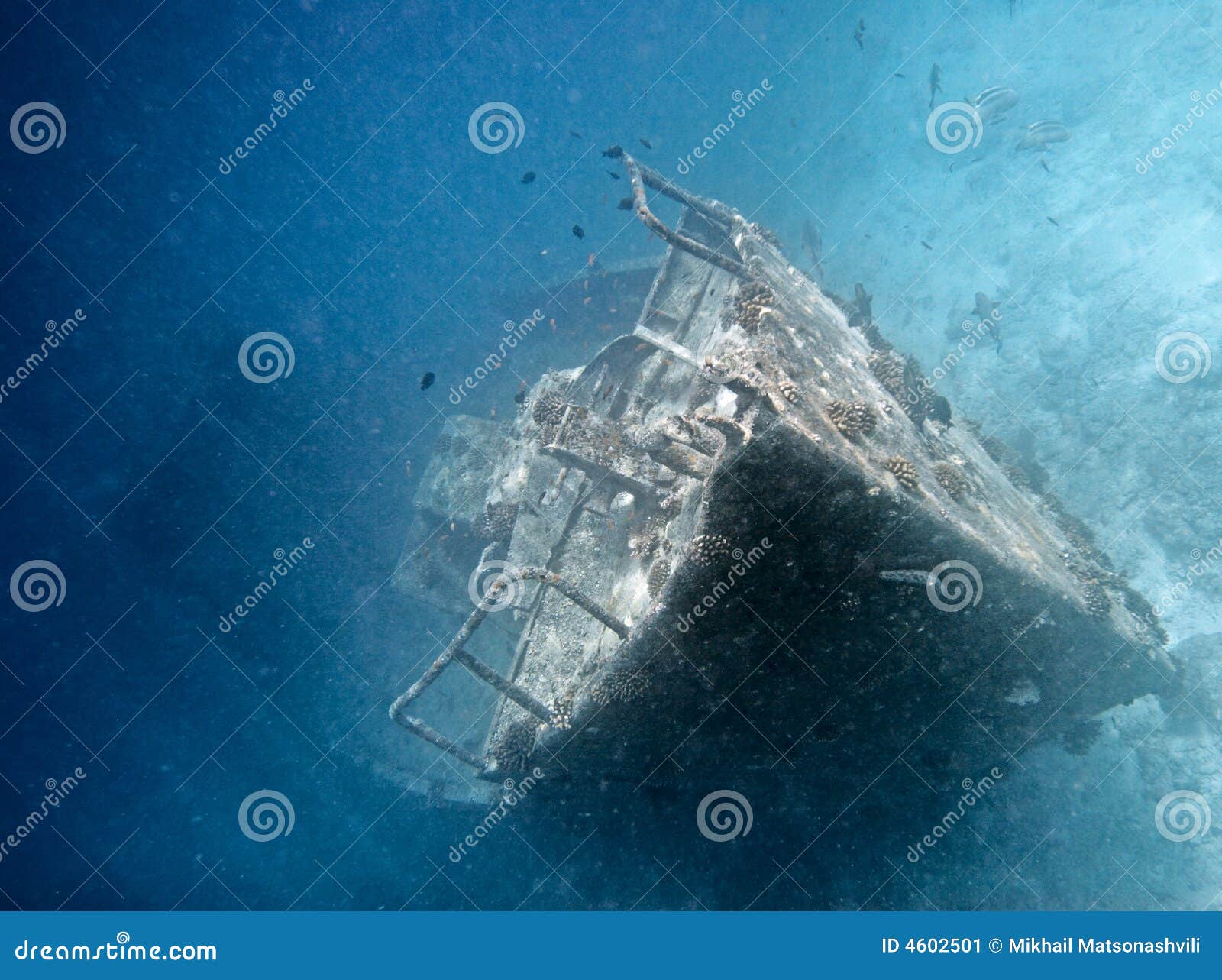 Sunken ship stock image. Image of snorkeling, boat, ocean - 4602501