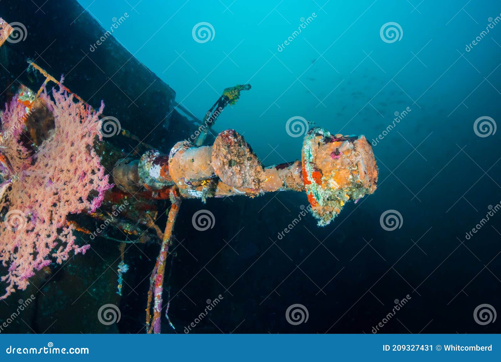 Sunken Underwater Shipwreck with Coral and Seafans Growing on the ...