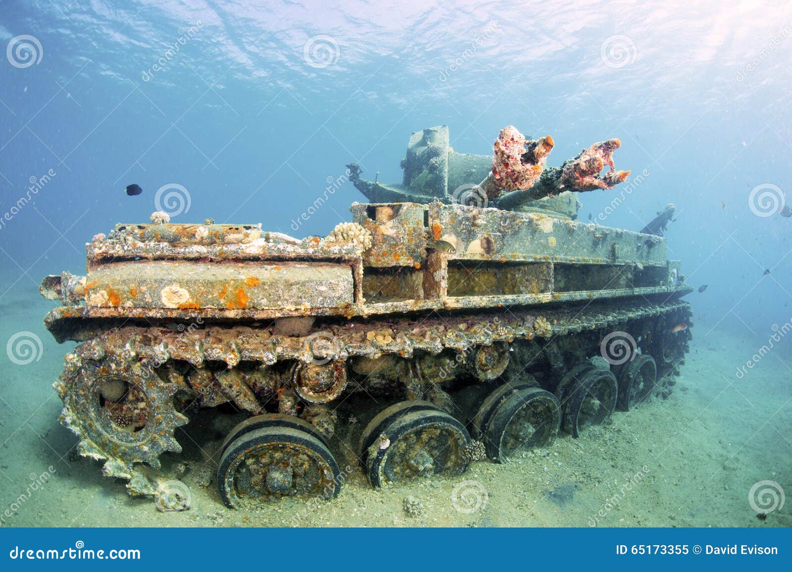 Sunken Wreck of a Tank in Aqaba. Stock Image - Image of blue, nature ...
