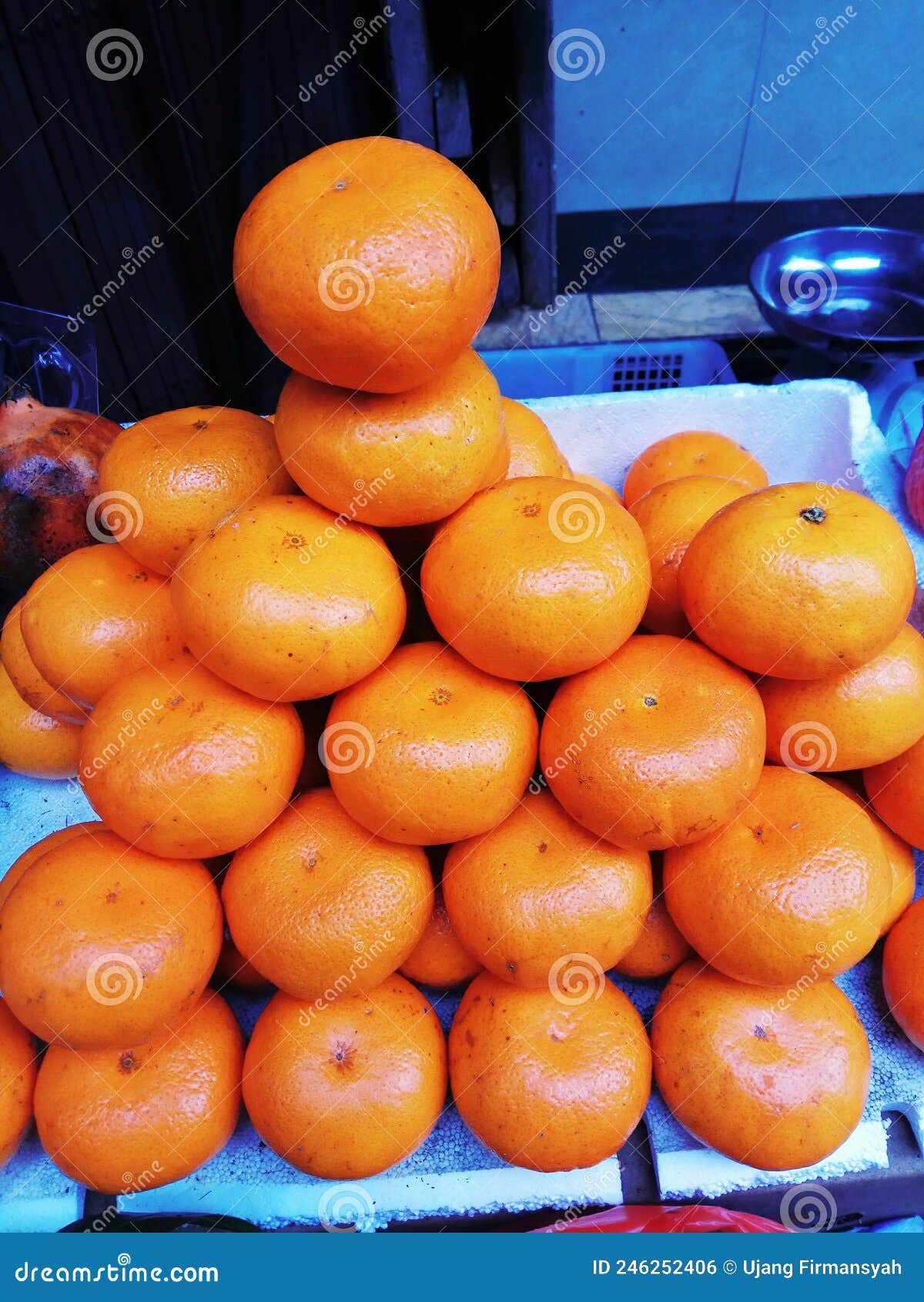 Sunkist citrus fruit stock photo. Image of plant, yellow - 246252406