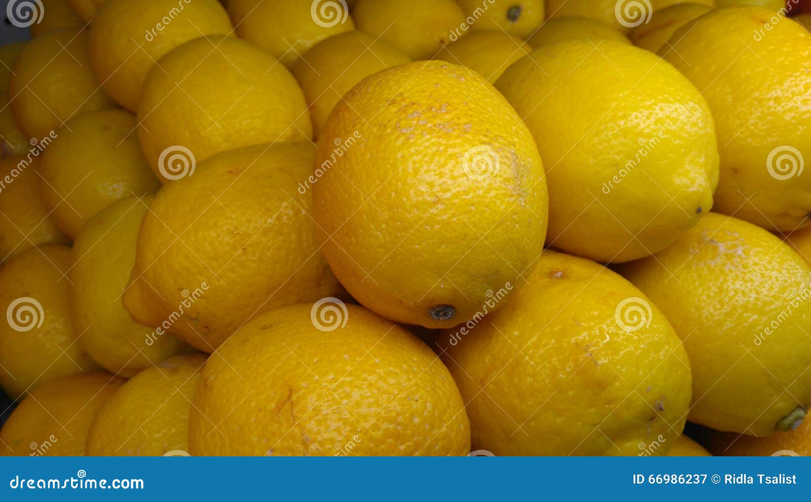 Sunkist stock image. Image of makassar, food, city, fruit - 66986237