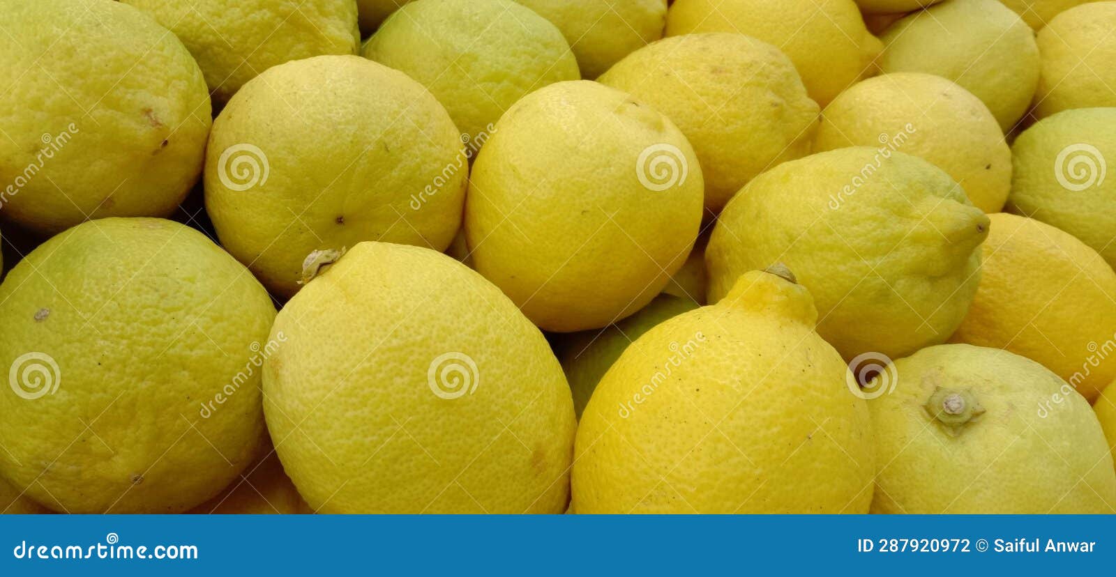 Sunkist Oranges are Very Fresh Yellow in Color Stock Photo - Image of ...