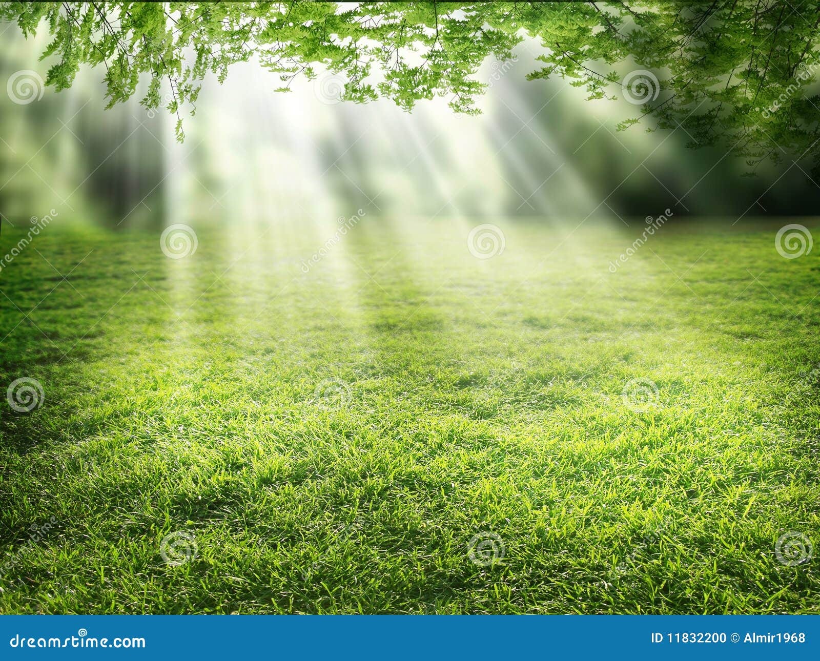 Sunlight stock photo. Image of sunlight, greenery, romania - 11832200