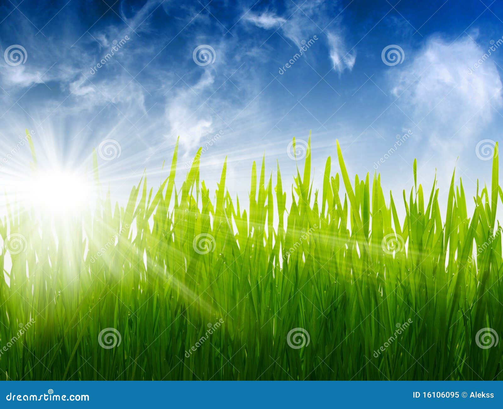 Sunlight stock image. Image of color, leaf, sunny, season - 16106095