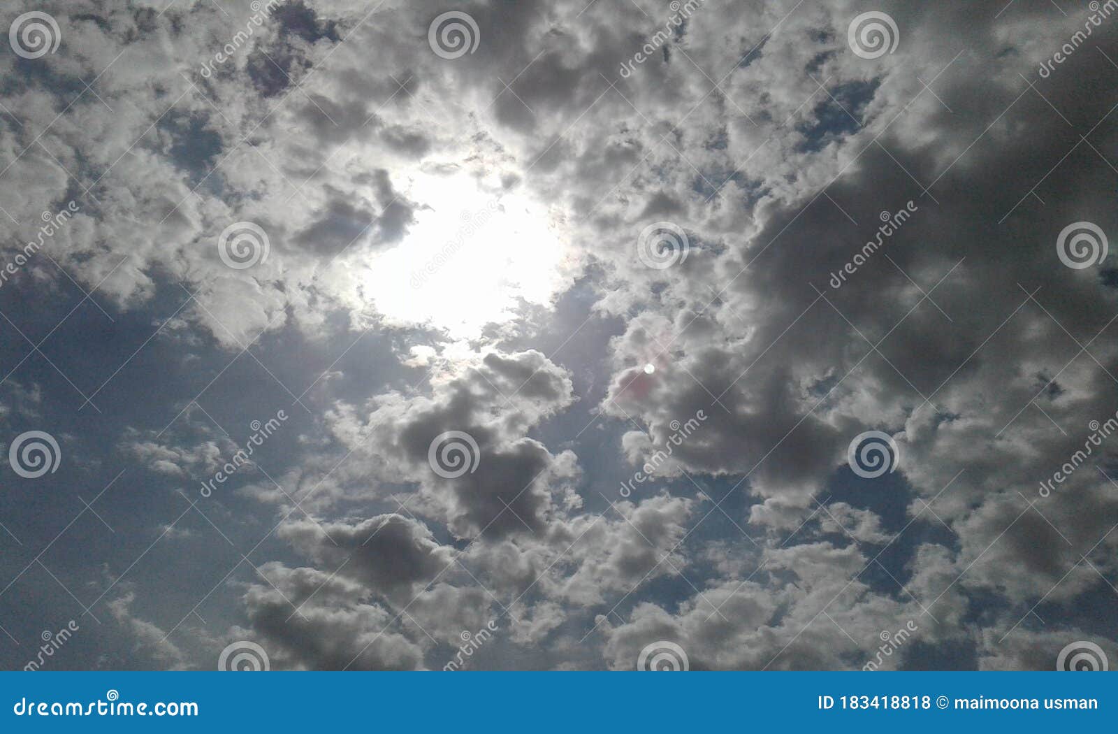 Sunlight Behind Three Magnificent Trees Royalty-Free Stock Photo ...