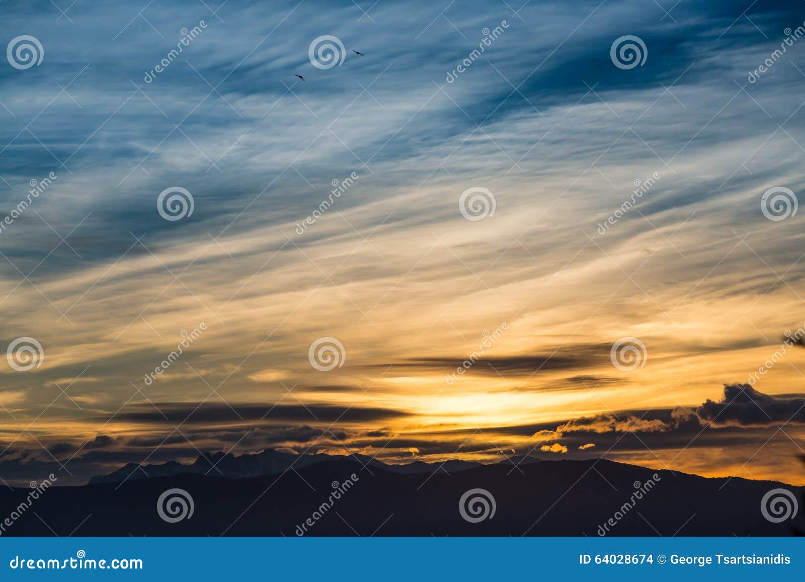 Sunlight Behind Three Magnificent Trees Royalty-Free Stock Photo ...