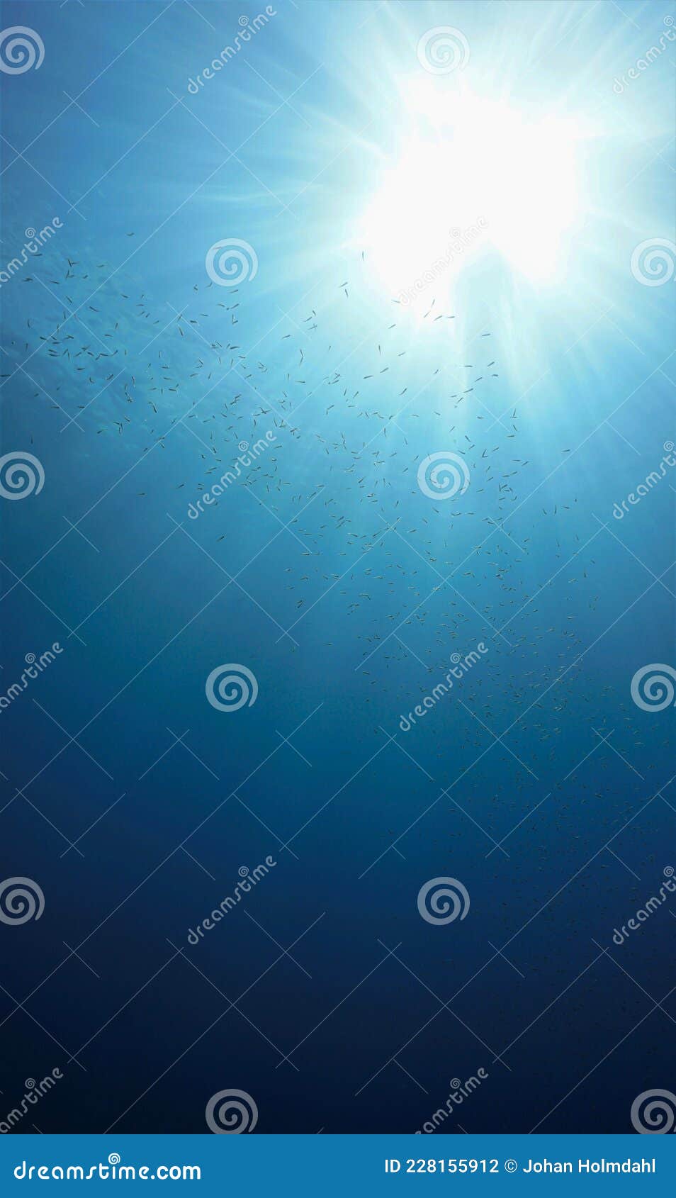 Sunlight in the Blue Deep Ocean Stock Photo - Image of environment ...