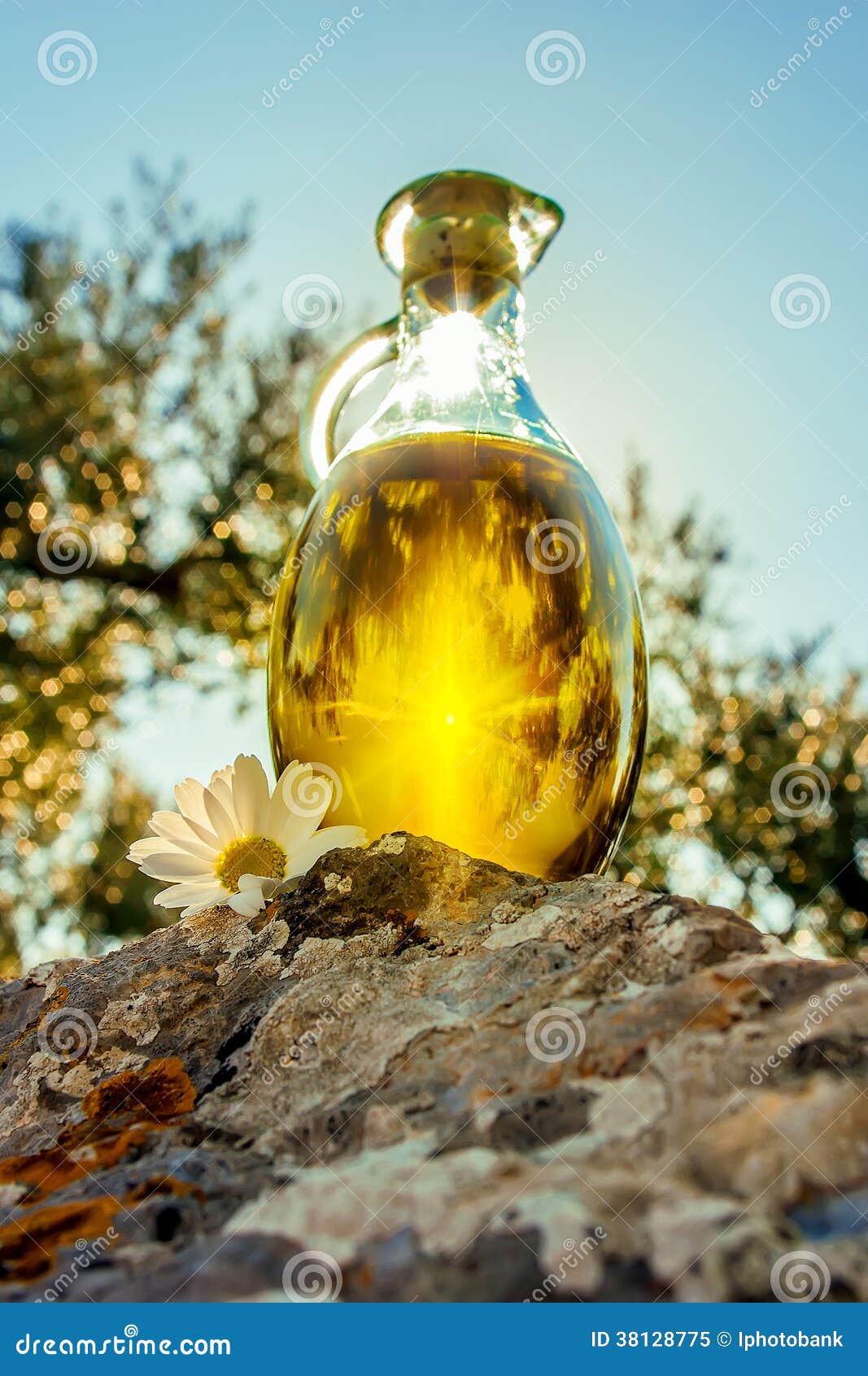 Sunlight through the Bottle with Olive Oil Stock Image - Image of diet ...