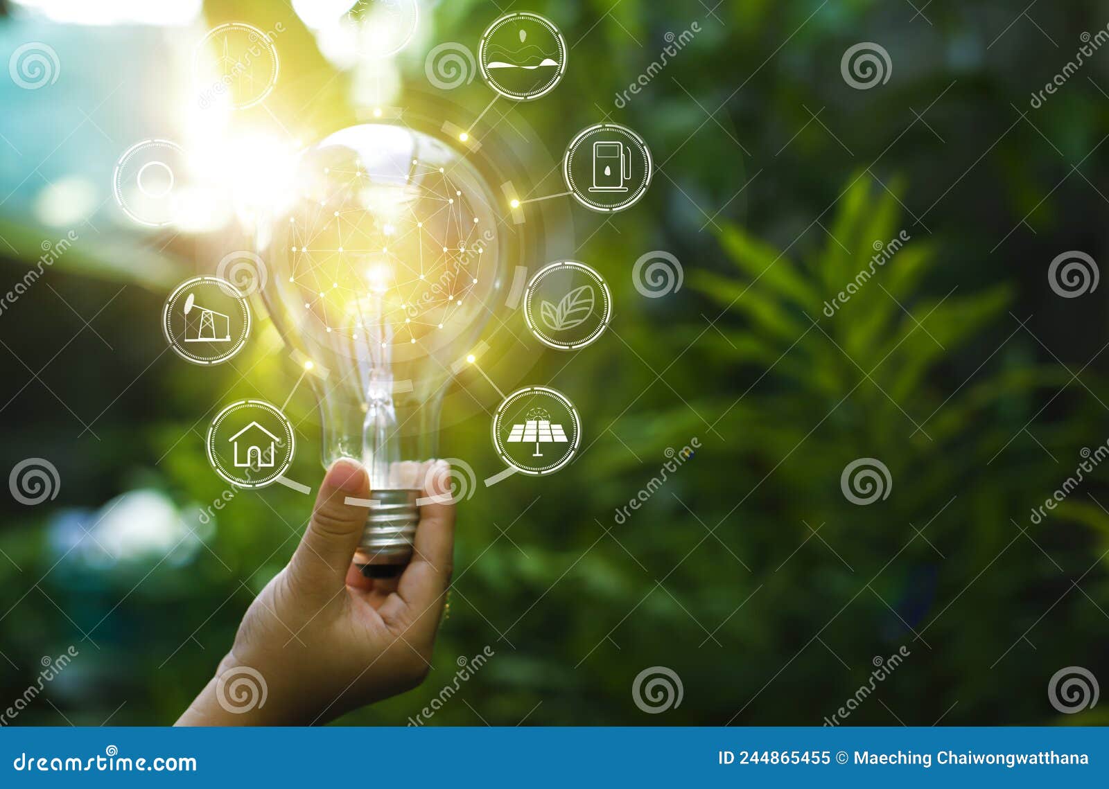 Light Bulbs that Grow, in the Concept of Energy in Nature. Stock Image ...