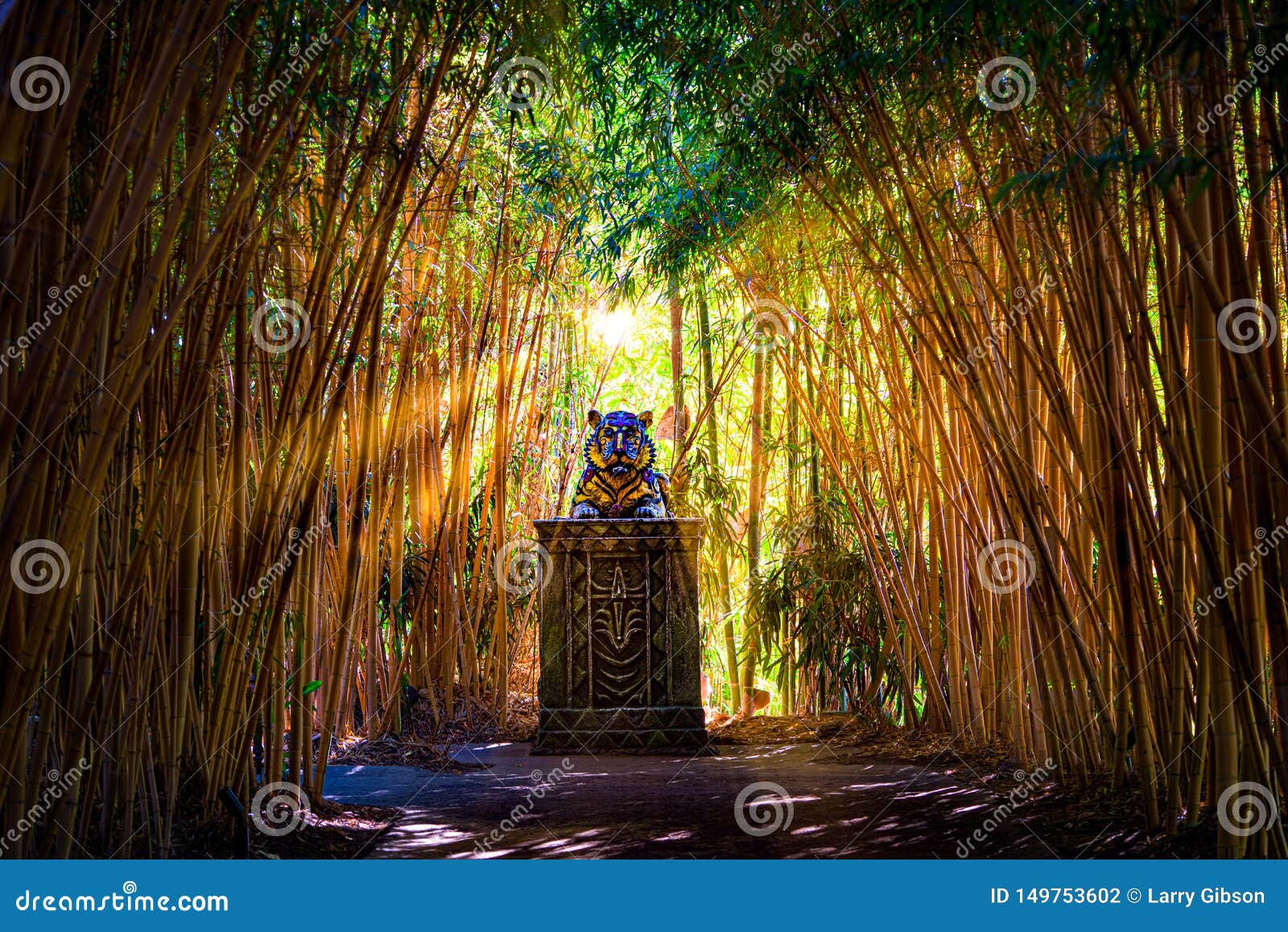 Sunlight Busting Thru Bamboo Editorial Photography - Image of sunrise ...