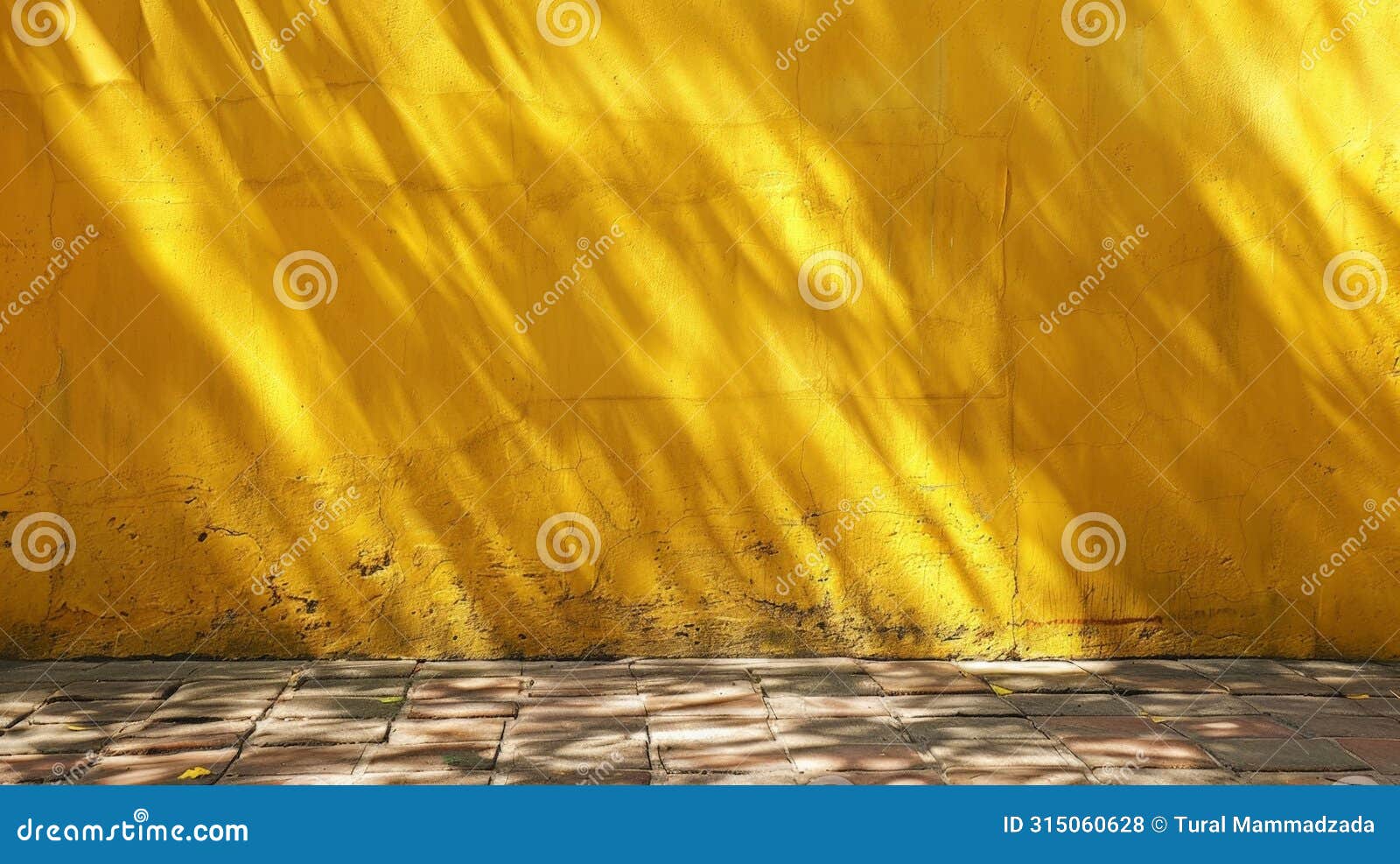 Sunlight Casting Tree Shadow on Yellow Brick Floor Stock Photo - Image ...