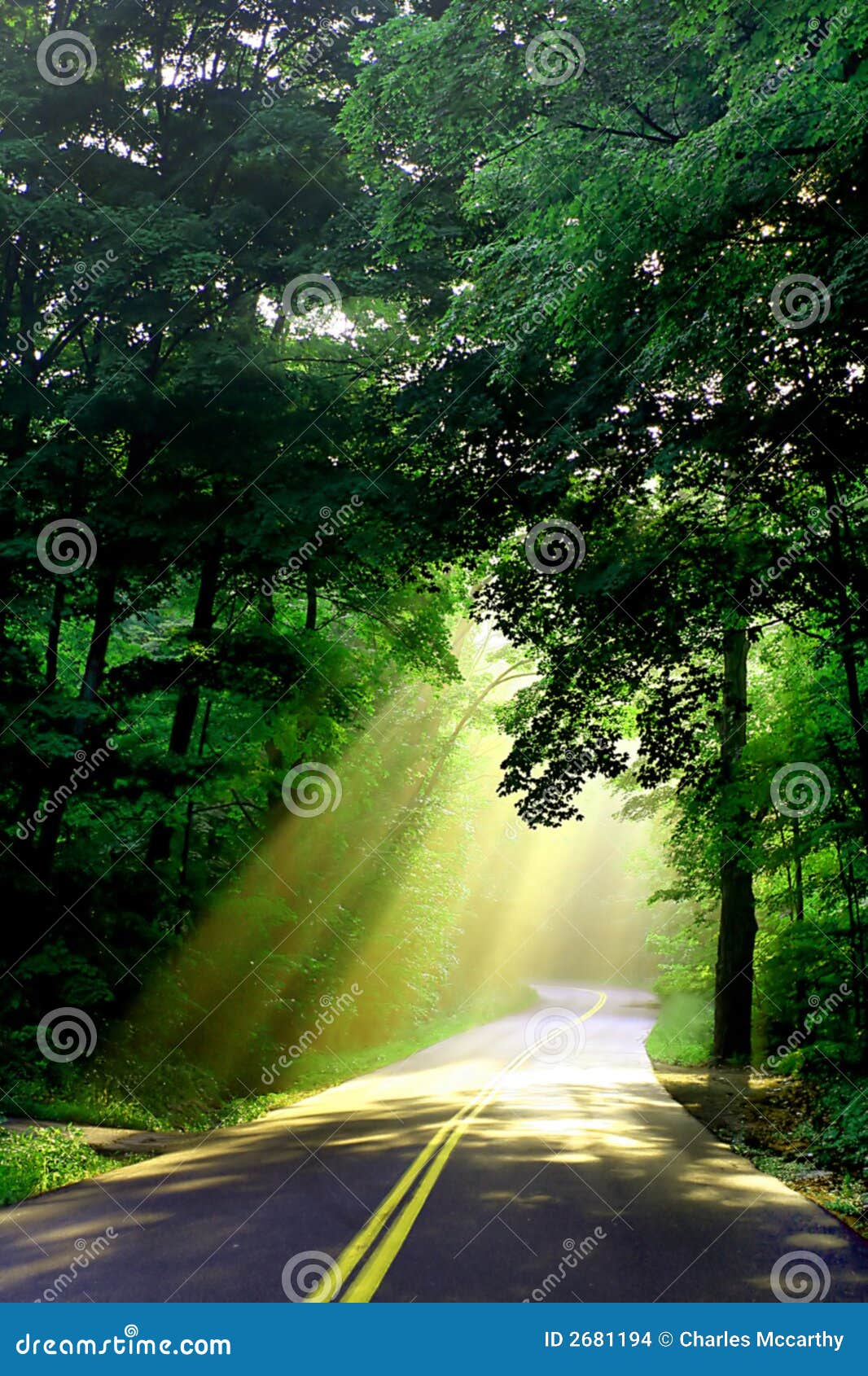 Sunlight on country road stock photo. Image of sunshine - 2681194