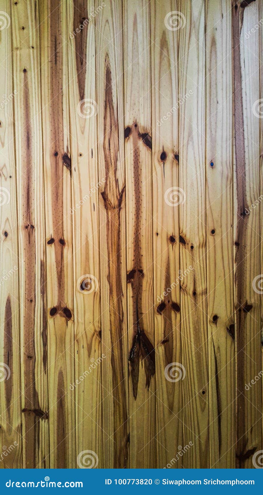 Sunlight Effect To the Pine Wood Wall Stock Photo - Image of forest ...