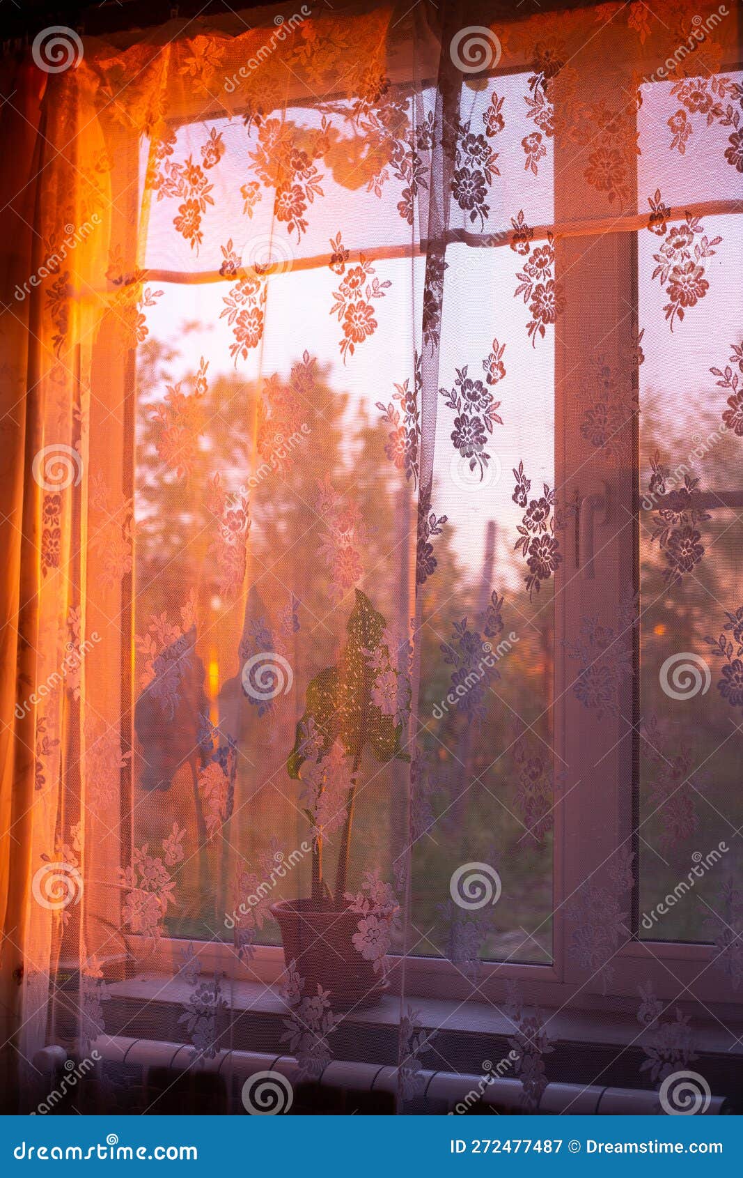 Sunlight Falling through a Window with a See-through Curtain, with a ...