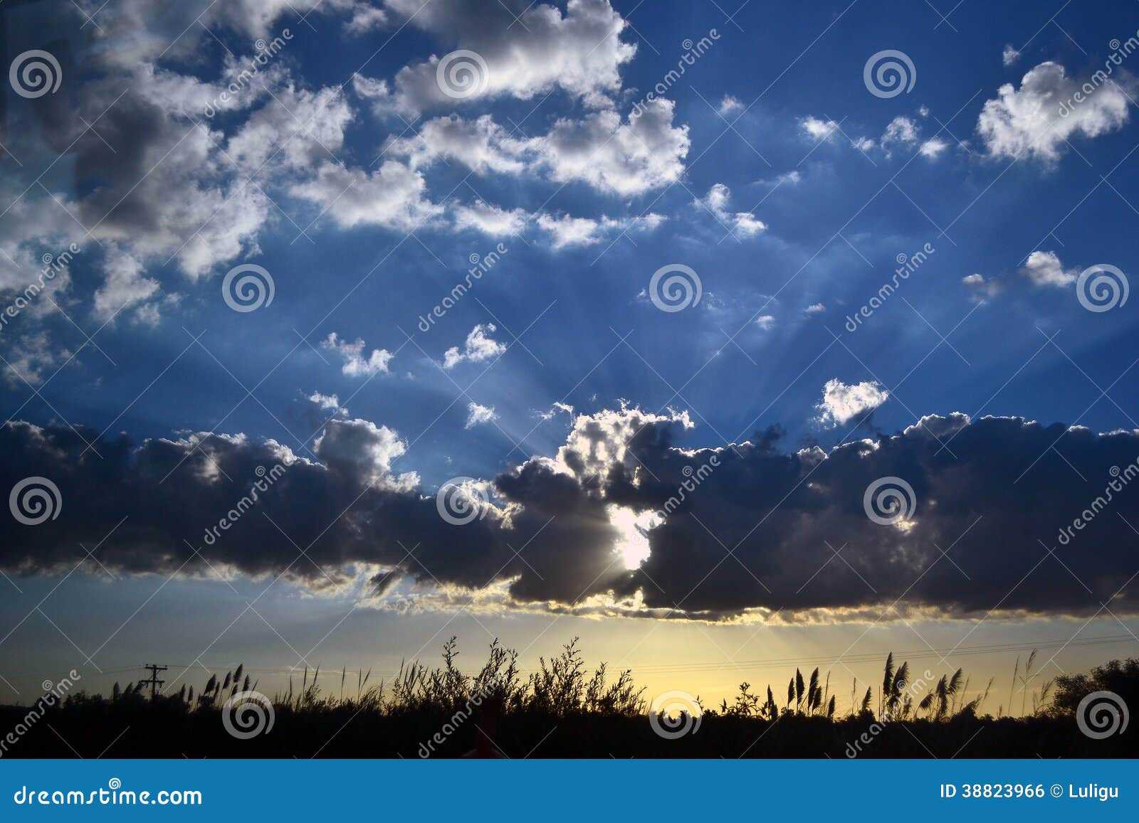 Sunlight fields stock photo. Image of flash, ascend, blue - 38823966