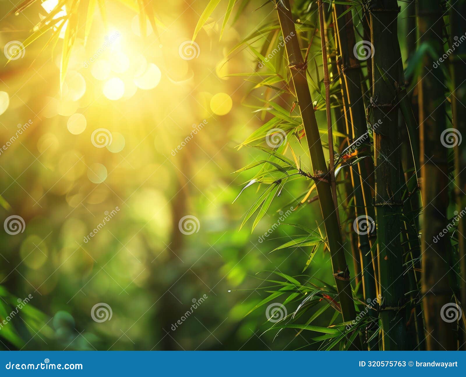 Sunlight Filtering through Bamboo Tree Stock Illustration ...