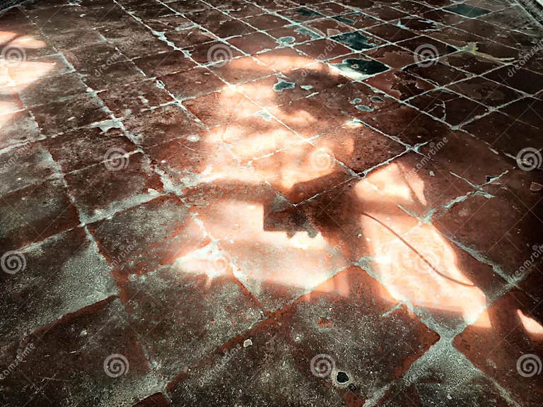 Sunlight Filters through a Window, Creating Captivating Patterns of ...