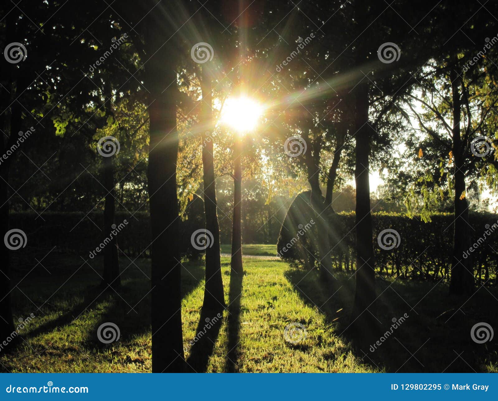 Evening Shadows stock image. Image of sunlight, evening - 129802295