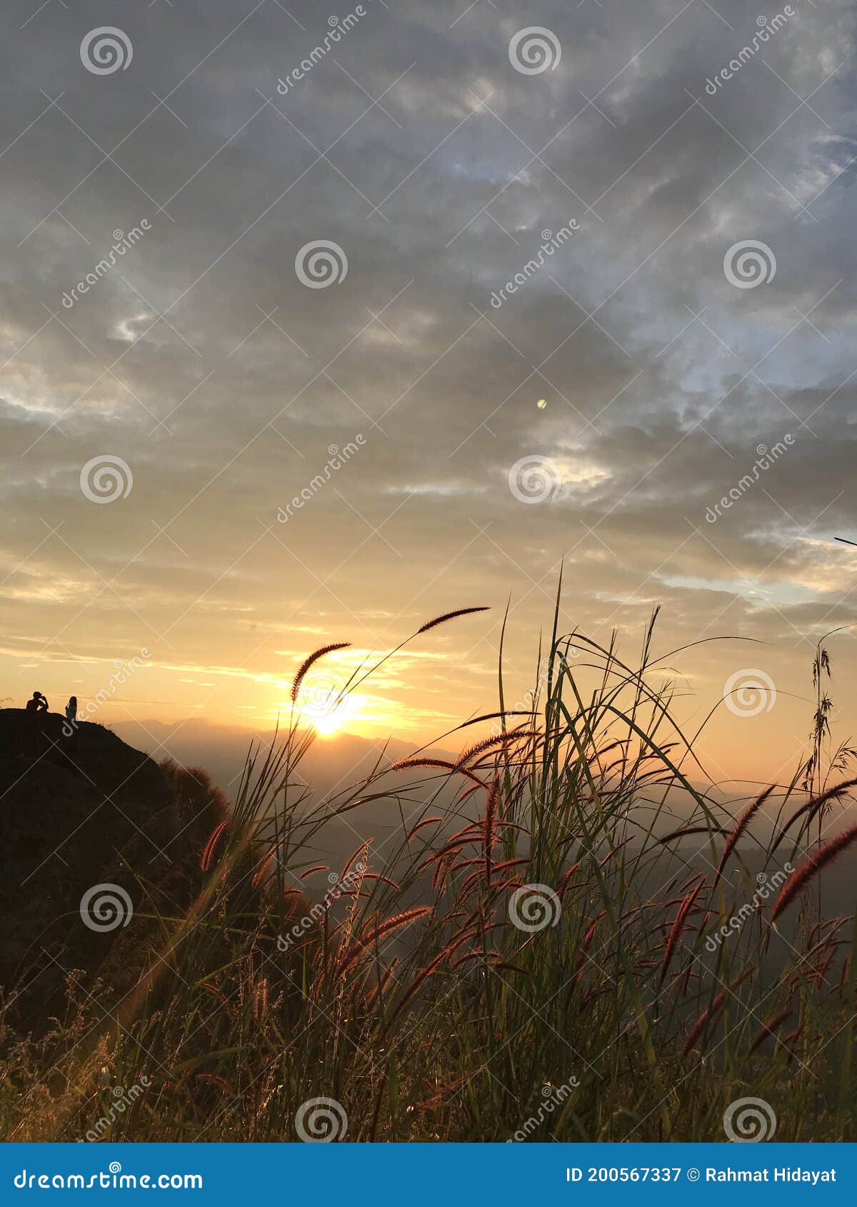 The Flower Of The Snow-white Water Lily Stock Photography ...