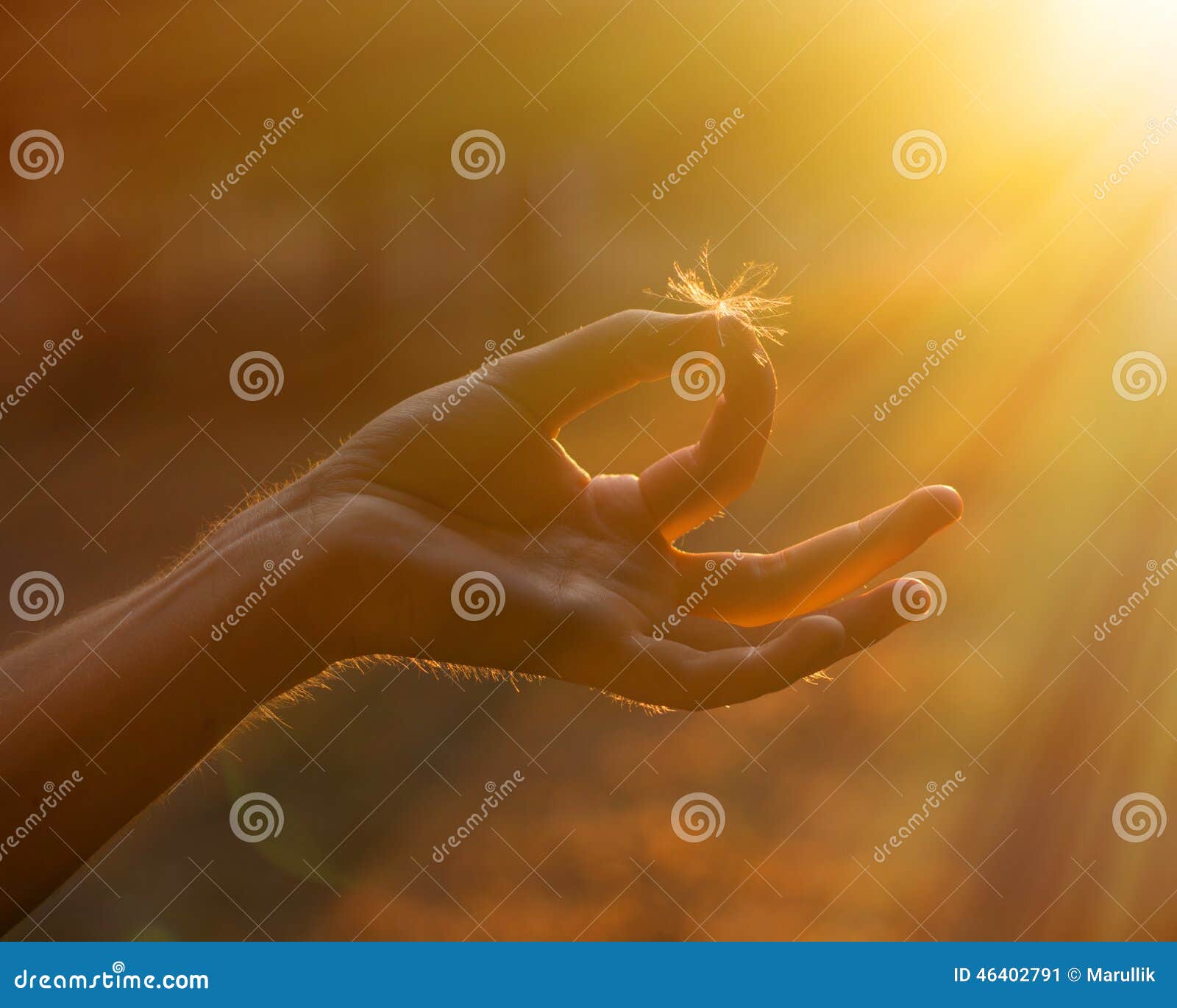 Sunlight stock image. Image of relaxation, calm, beams - 46402791