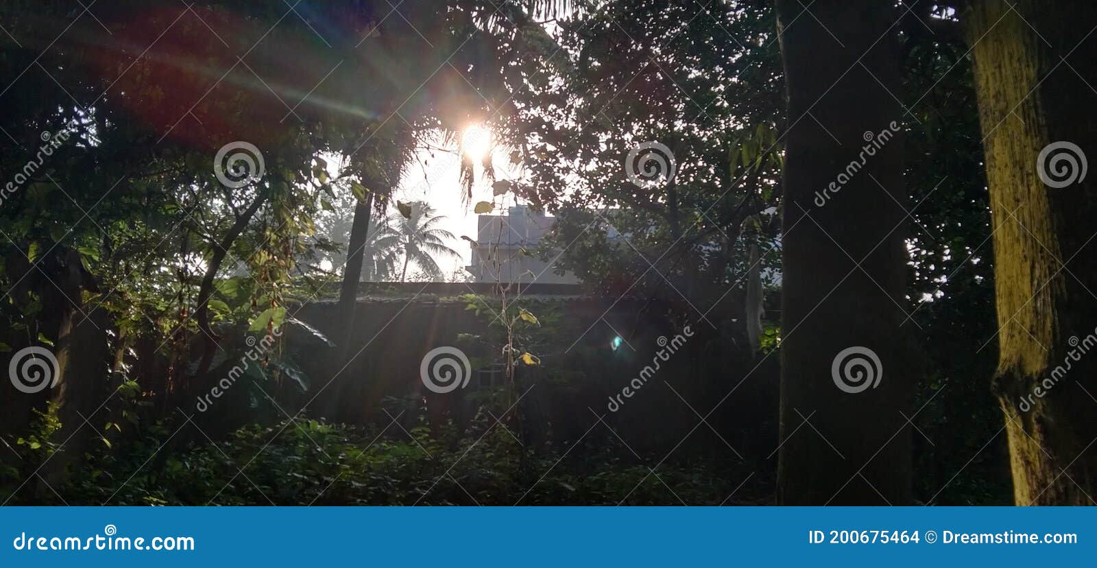 Sunlight In Jungle Rainforest With Scenic Waterfall Stock Photography ...