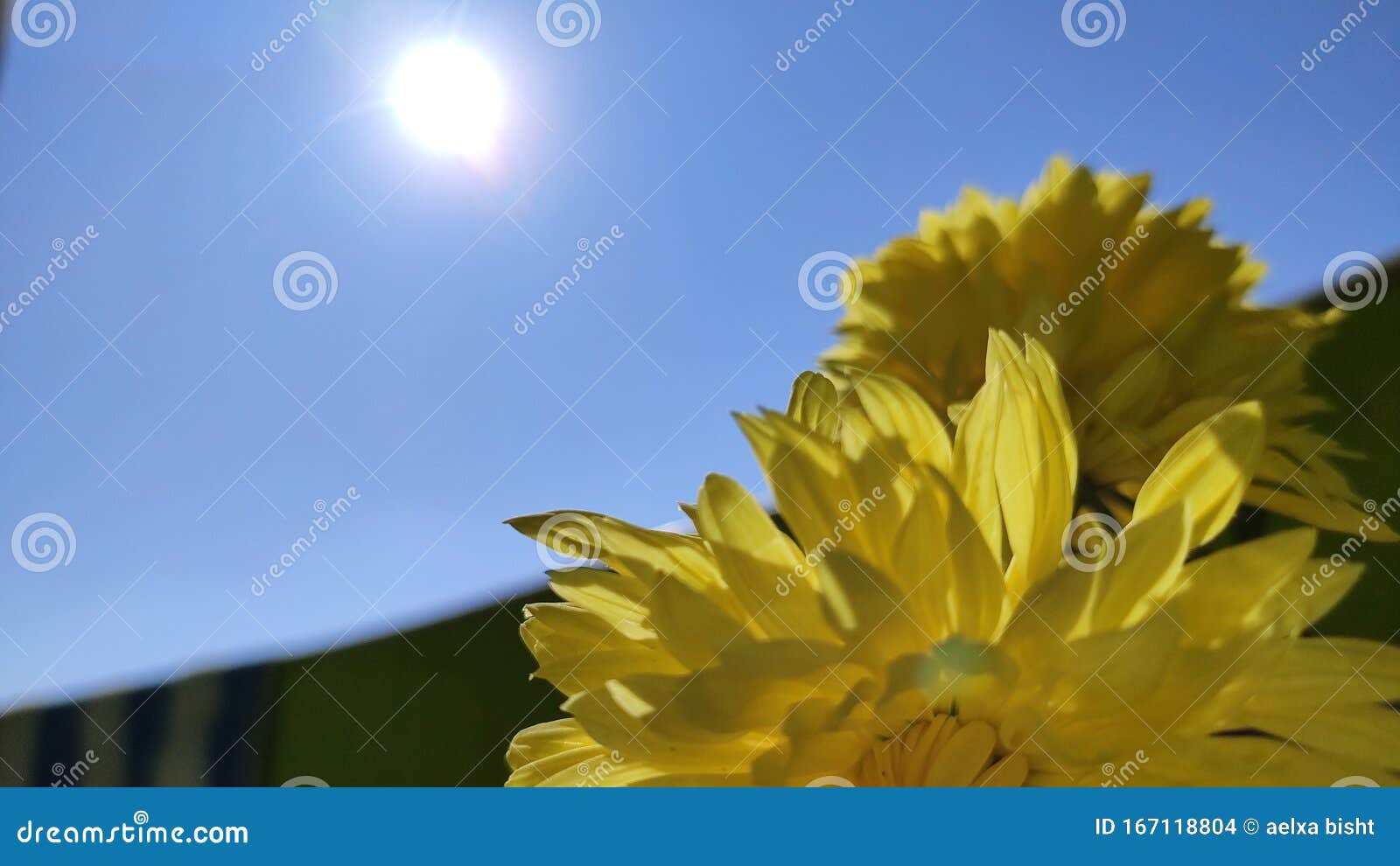 Sunlight is a Natural Resources Stock Photo - Image of yellow, natural ...