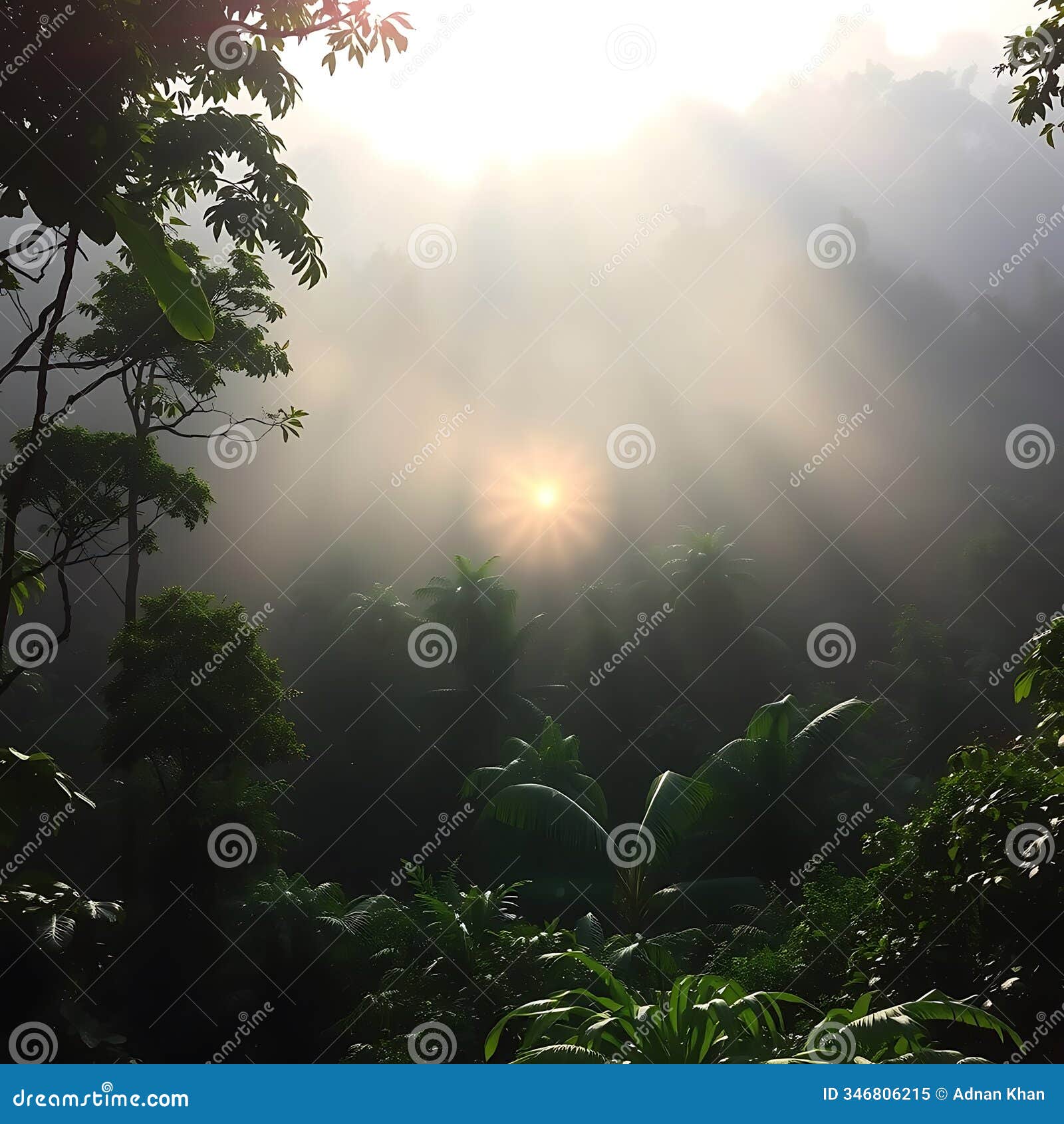 Sunlight Over Brazilian Rainforest Stock Illustration - Illustration of brazil, breaking: 346806215