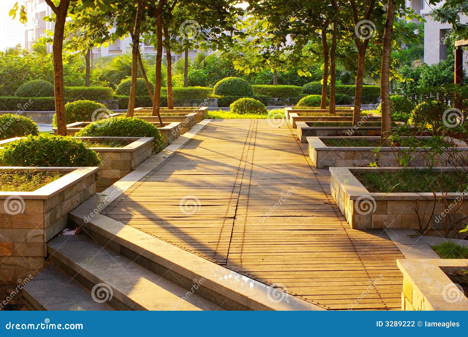 Sunlight over garden stock photo. Image of sunlight, shenzhen - 3289222