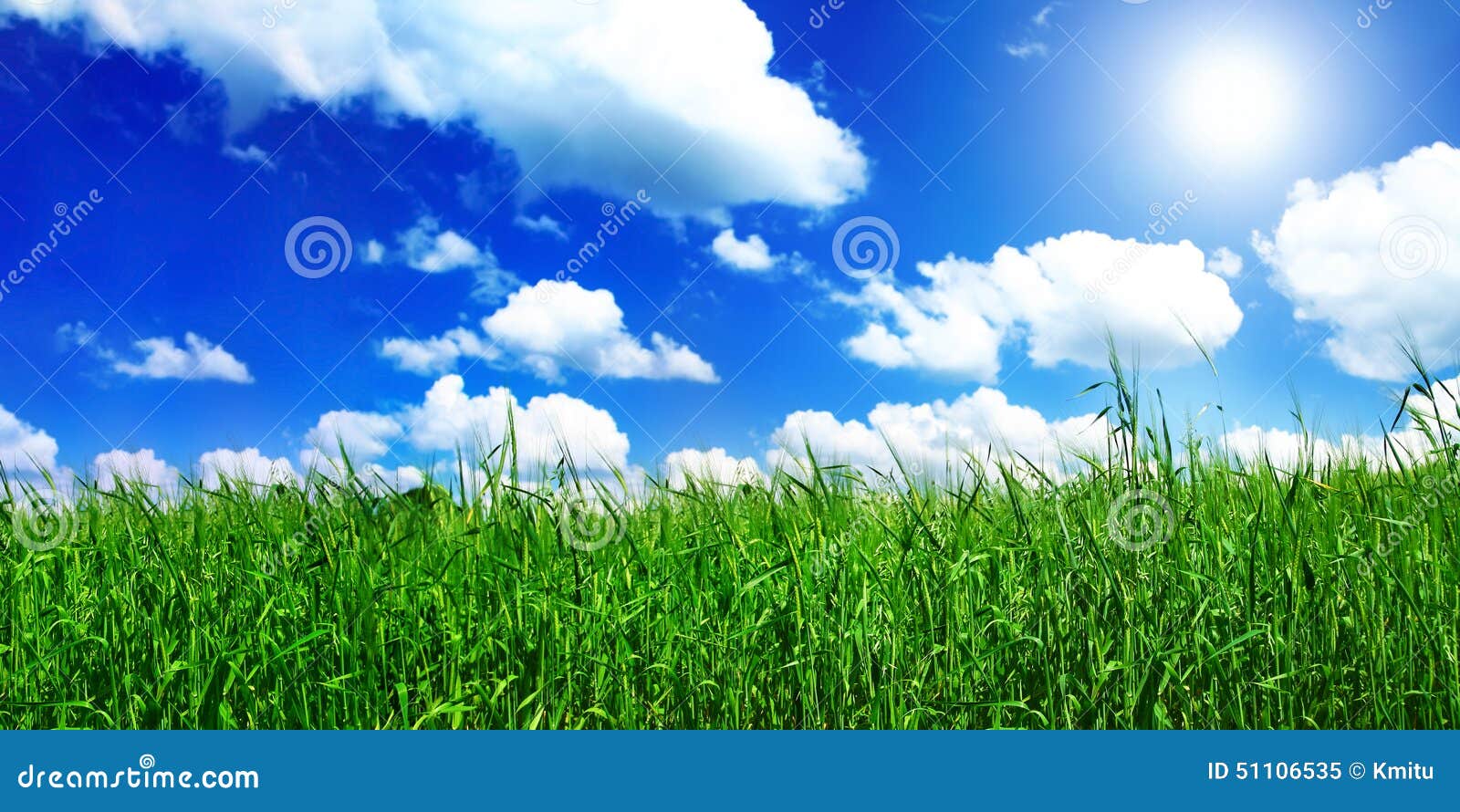 Sunlight over meadow stock image. Image of plant, flare - 51106535