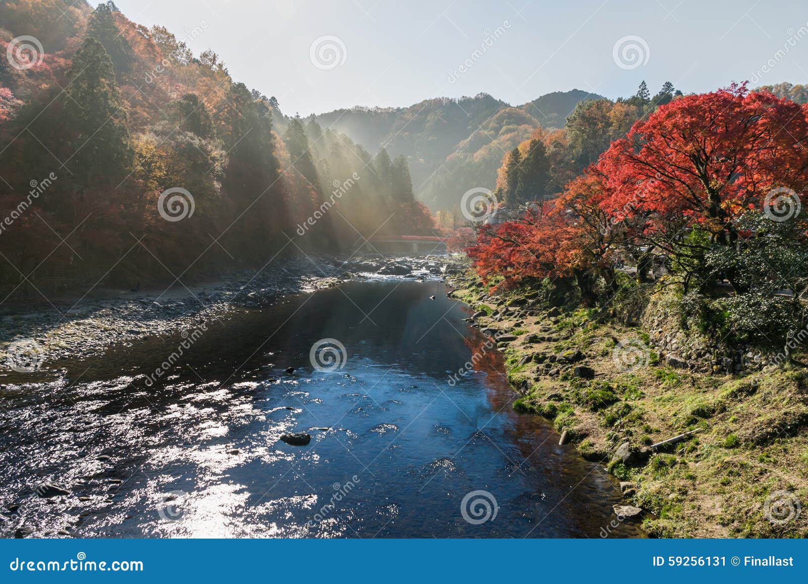 Sunlight Over River with Colorful Autumn Leaf Stock Image - Image of ...