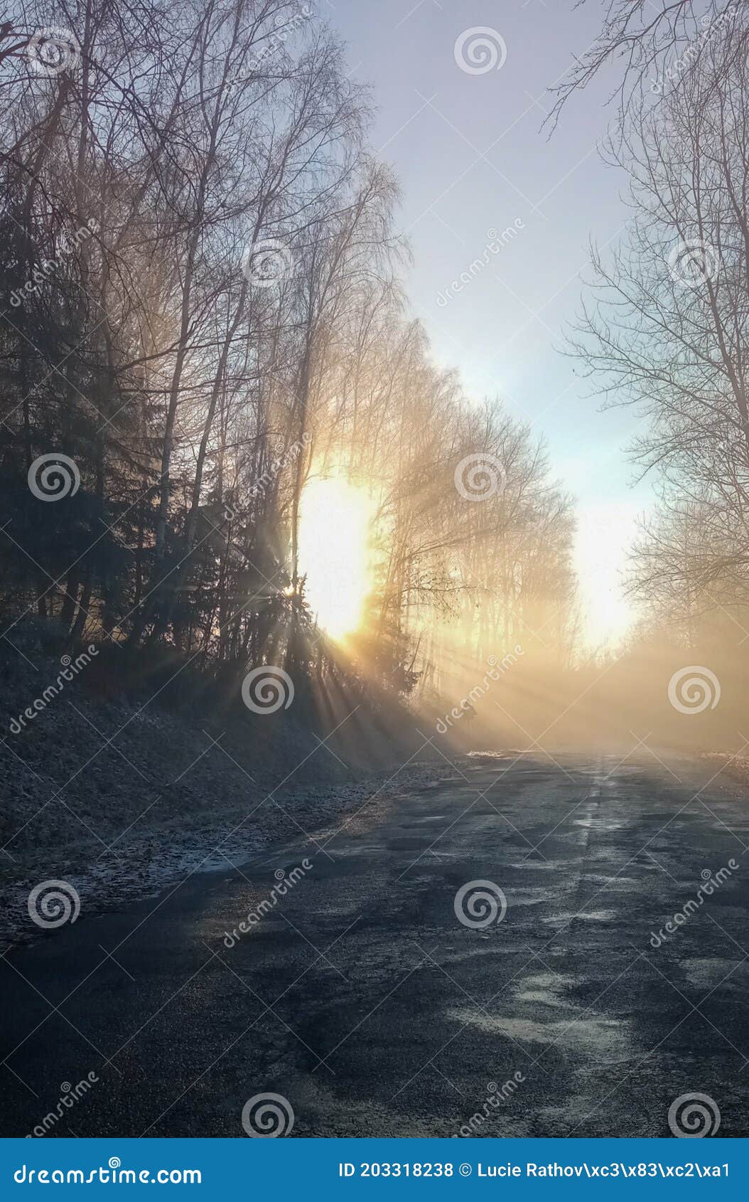 Sunlight over the way stock photo. Image of haze, evening - 203318238