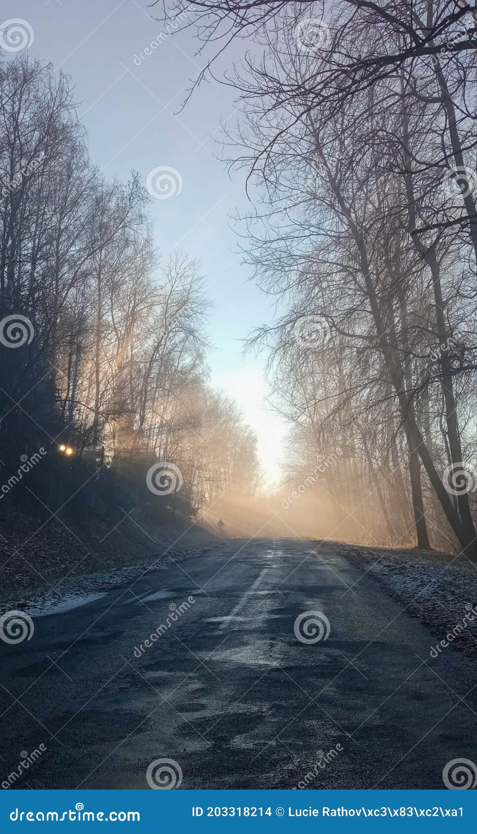 Sunlight over the way stock photo. Image of mist, haze - 203318214