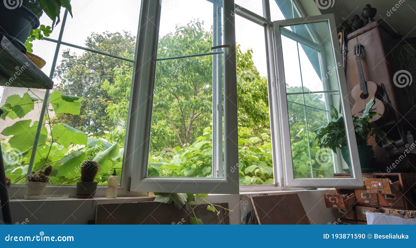 Sunlight Peeking Through The Large Window In The Vintage Interior Stock ...