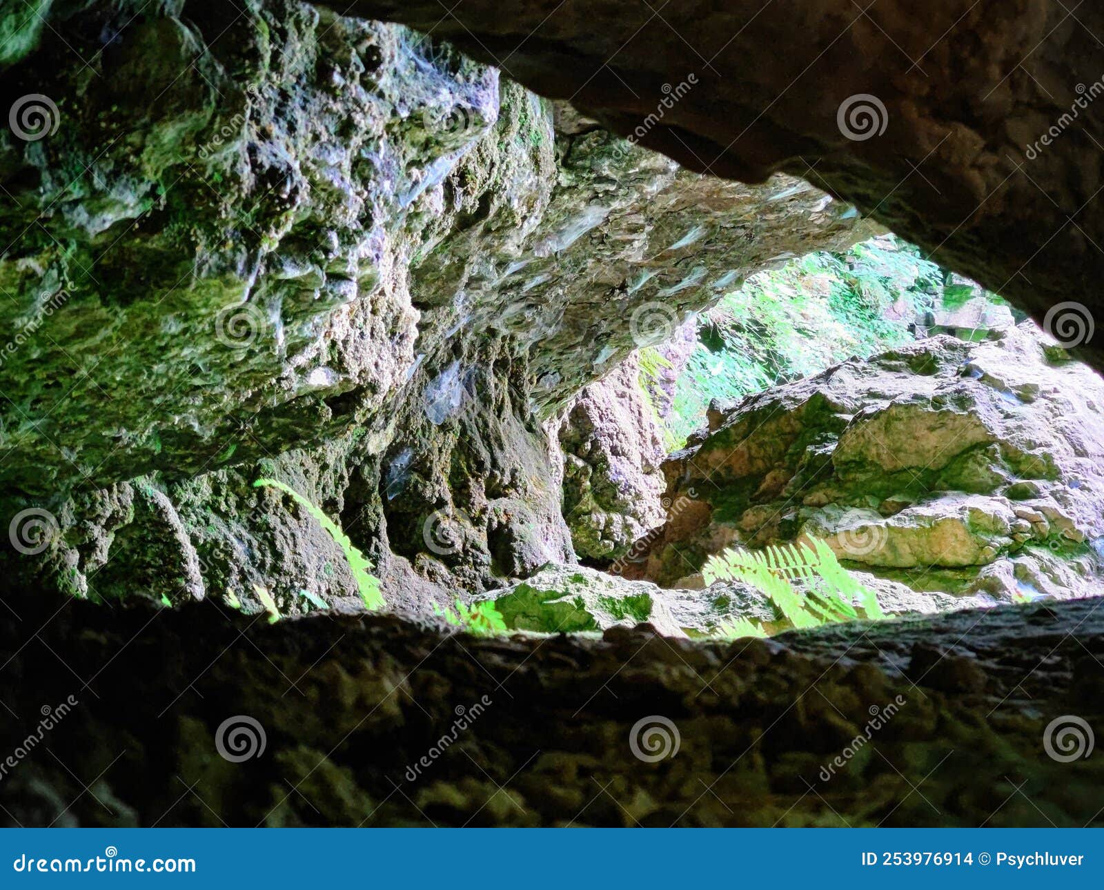 Sunlight Peeking through a Small Cave Stock Photo - Image of forest ...