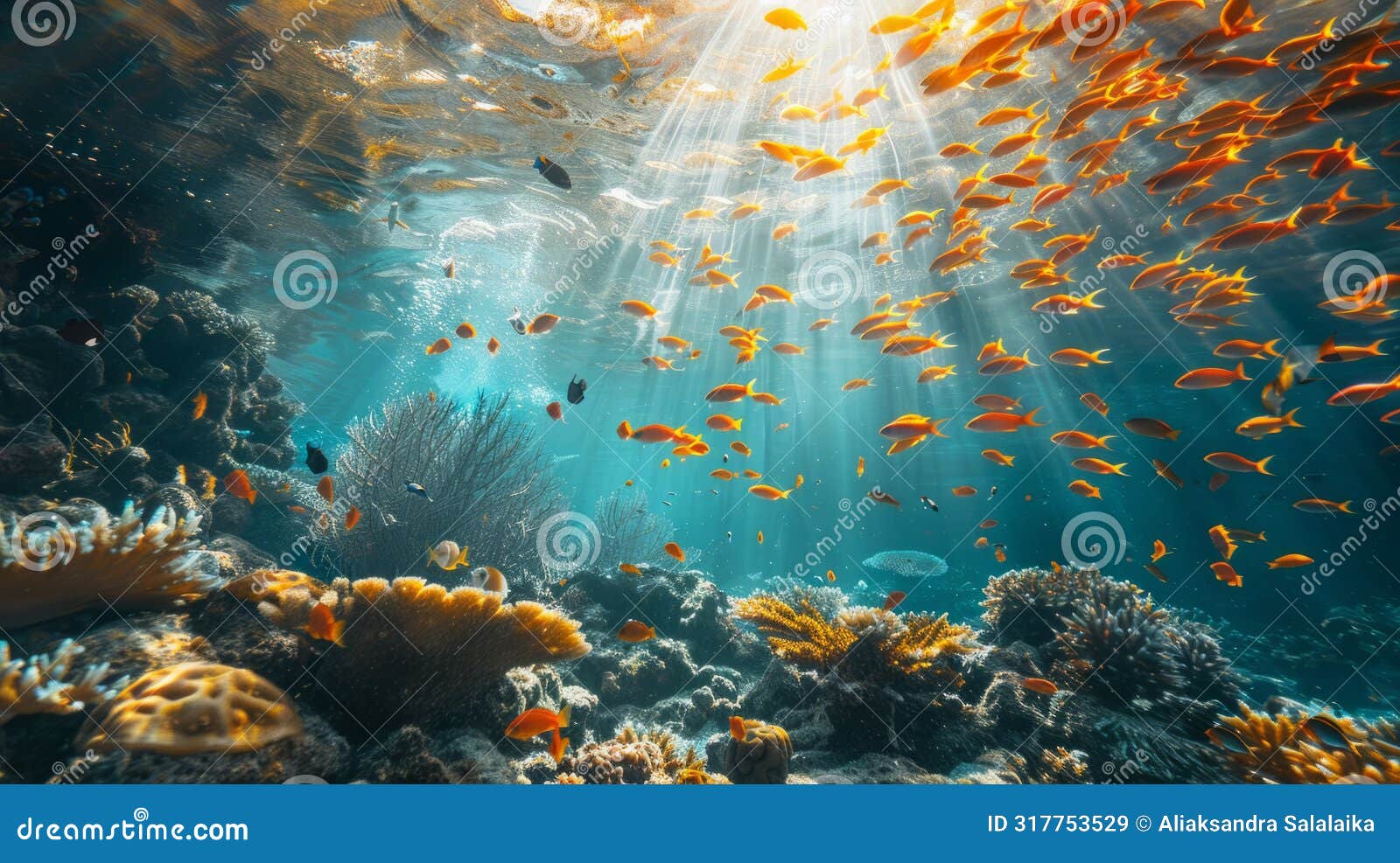 Underwater Ecosystems, Sunlight Piercing through the Water, Revealing ...