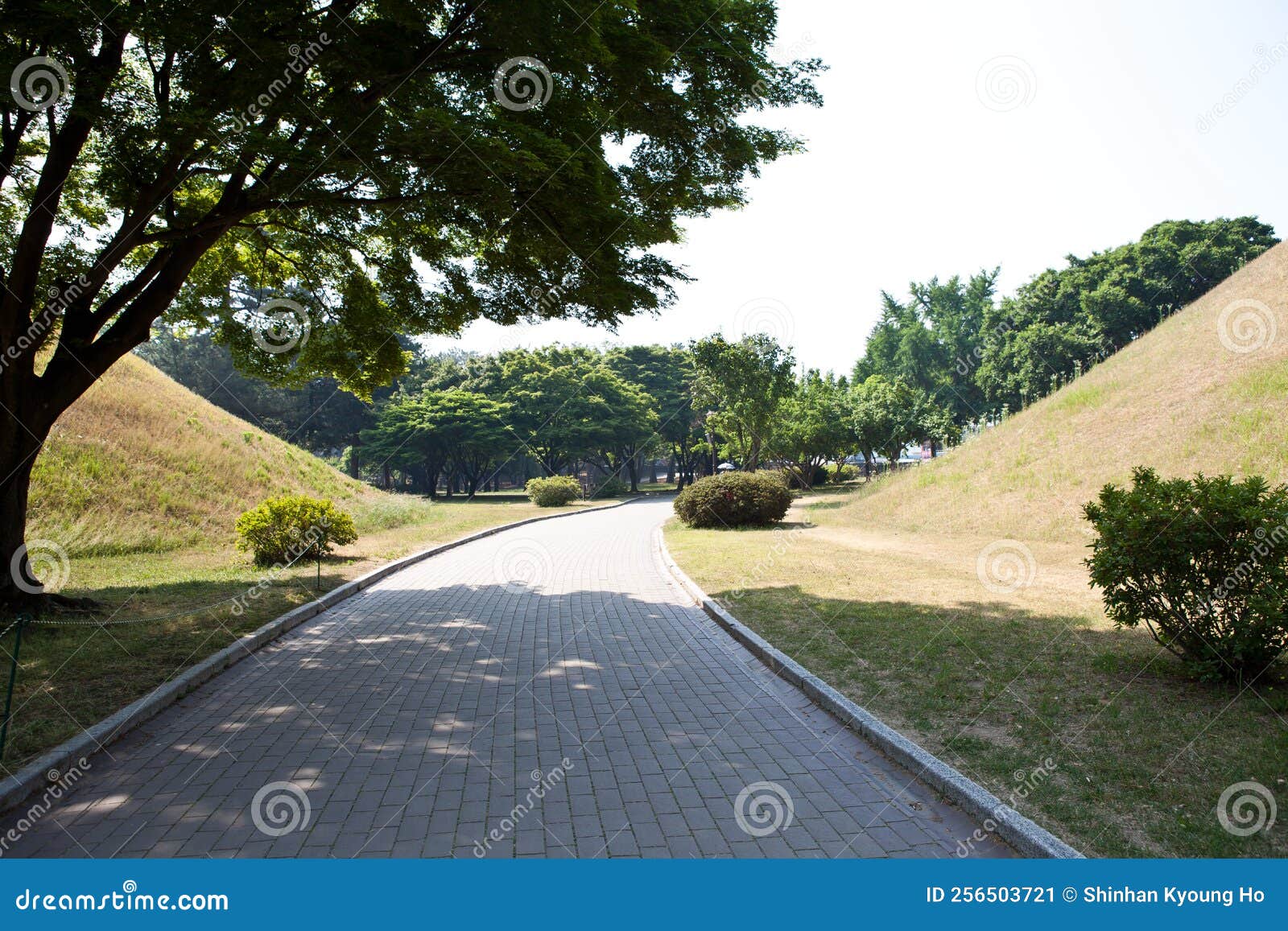 A Walkway through the Trees and the Hillside Stock Image - Image of ...
