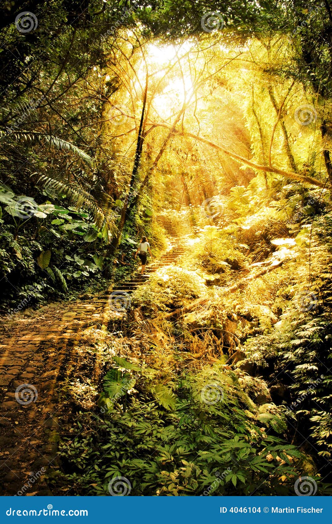 2,026 Dense Person Stock Photos - Free & Royalty-Free Stock Photos from ...