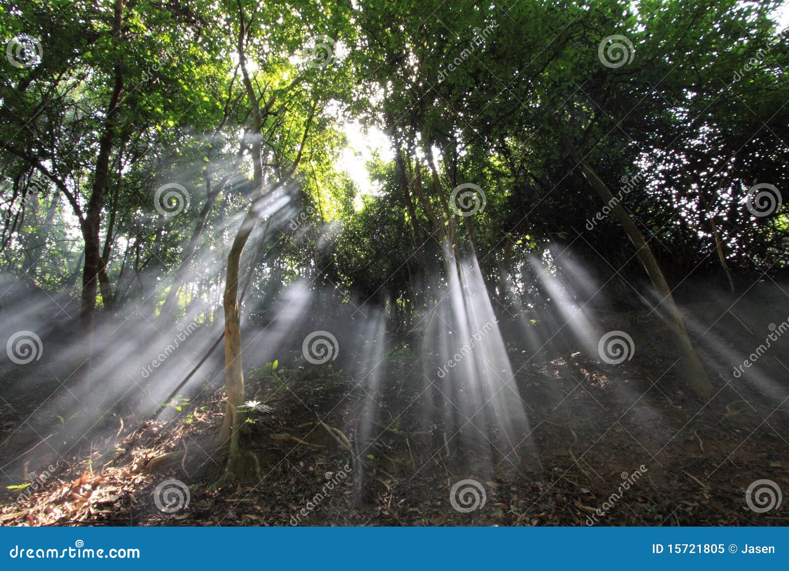 Sunlight rays stock image. Image of beam, divine, environment - 15721805