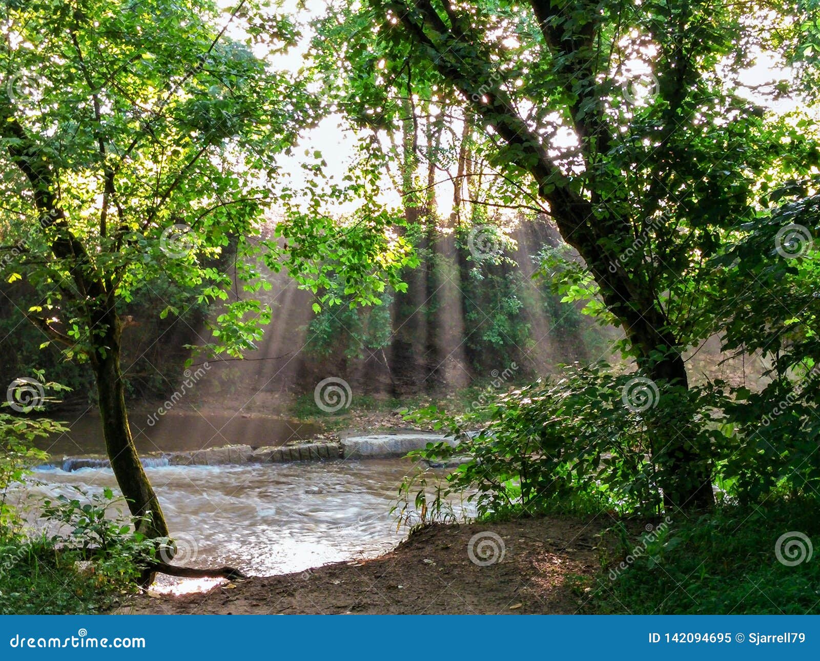 Sunlight Rays Coming through Trees Over River Stock Image - Image of ...