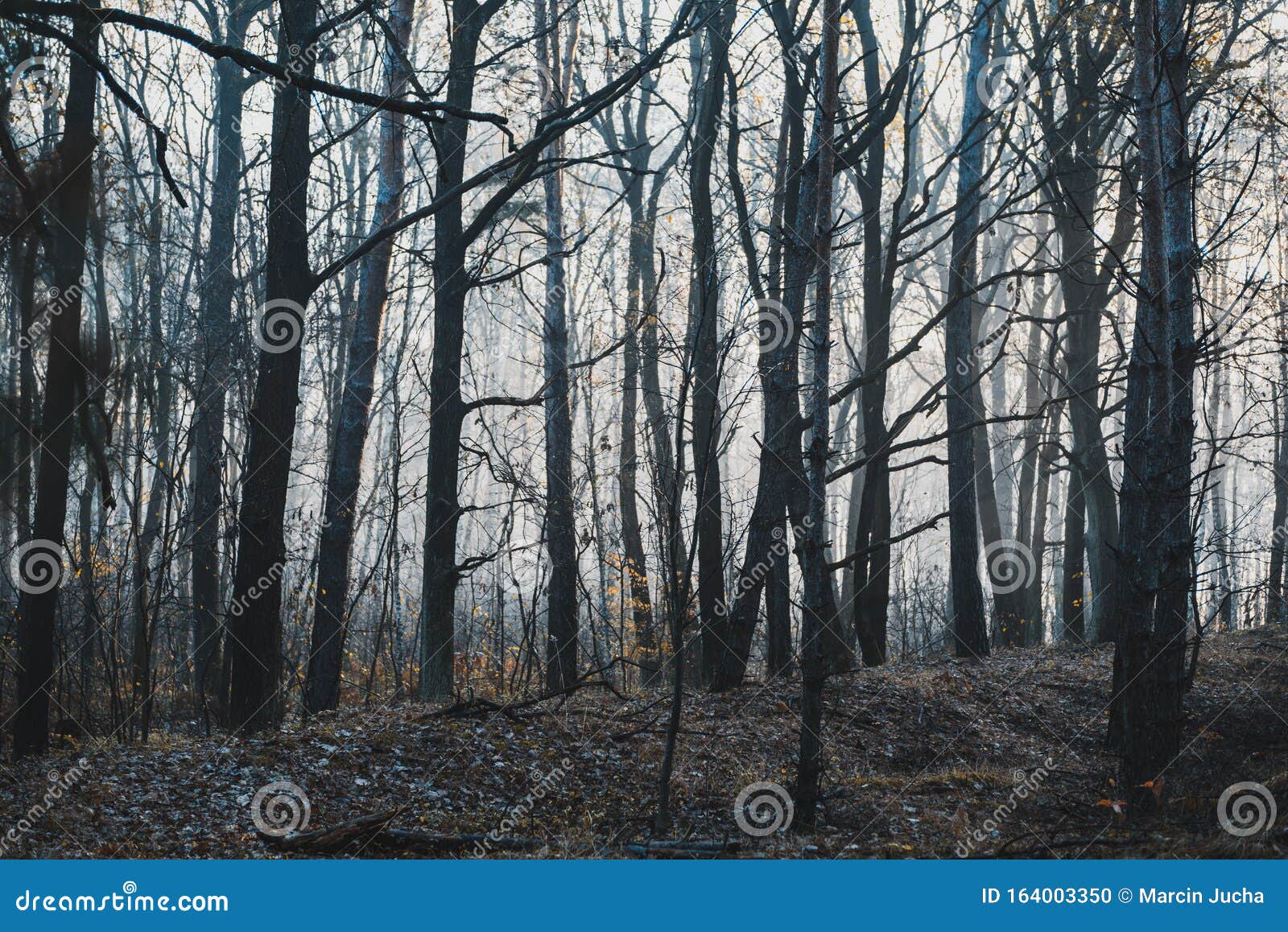 Dark Woodland Path On A Steep Hillside In The Derbyshire Peak District ...