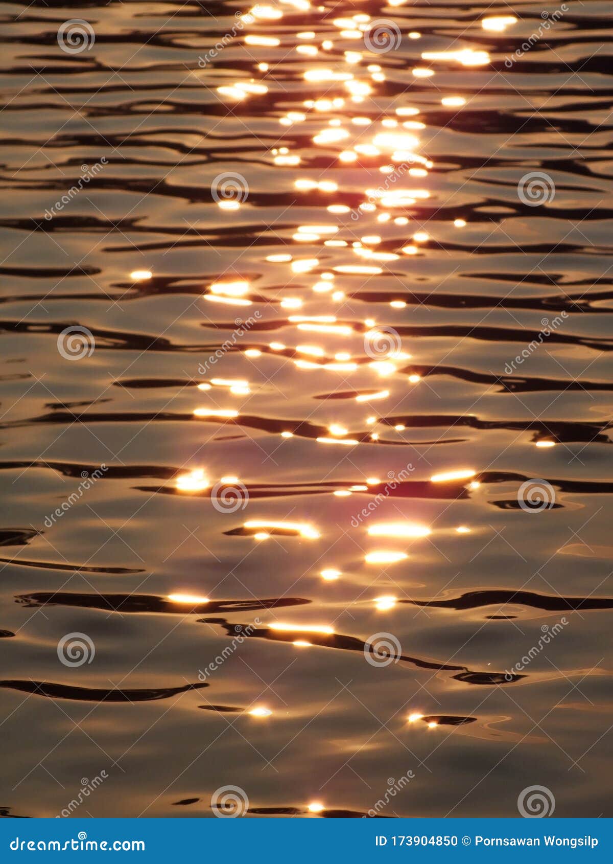 The Sunlight Reflected the Golden Sparkling Water Surface. Stock Photo ...