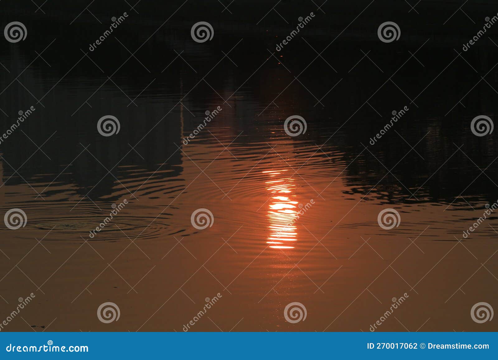 The Sunlight Reflecting in the Water with Copy Space Stock Photo ...