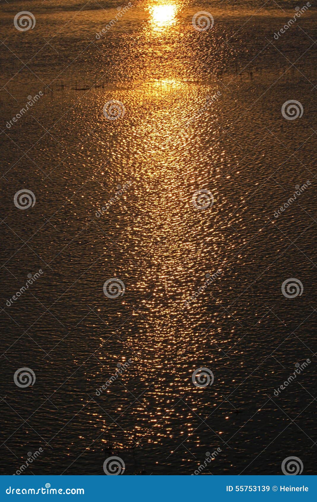 Sunlight Reflections in River Stock Image - Image of flood, trinity ...