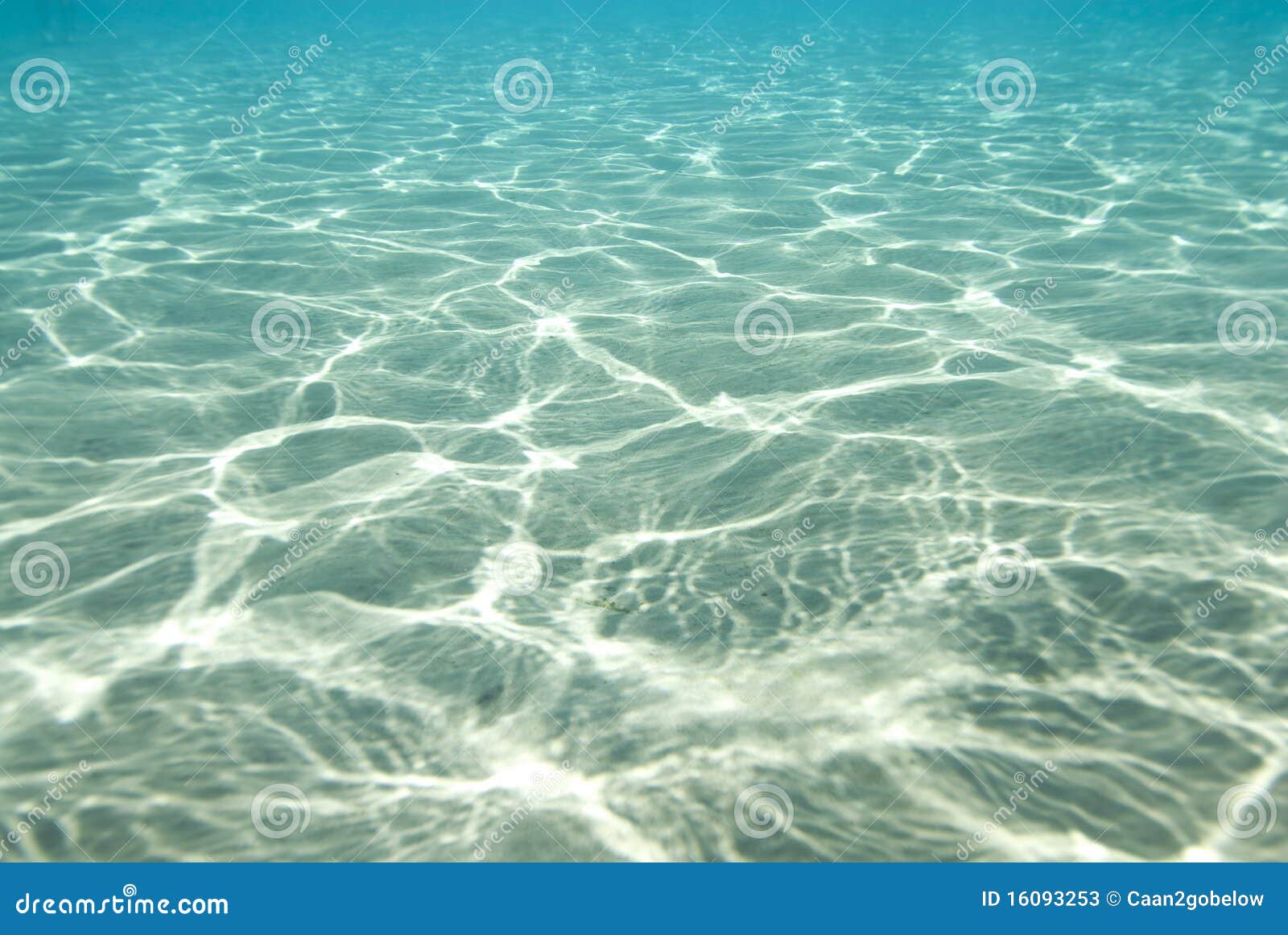 Sunlight Reflections Underwater. Stock Image - Image of pattern, blue ...