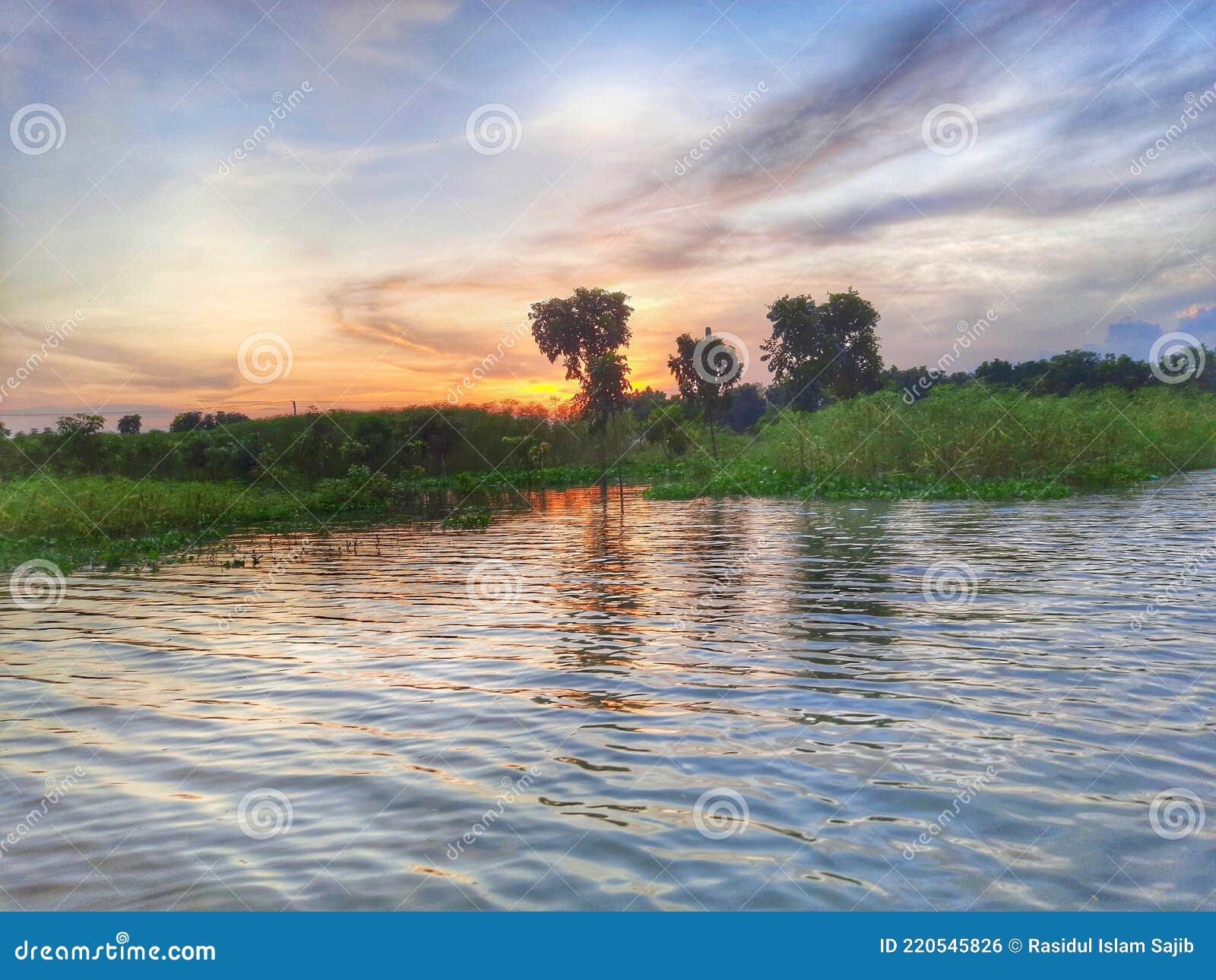 Sunlight Reflects on River Water. Stock Photo - Image of tree ...