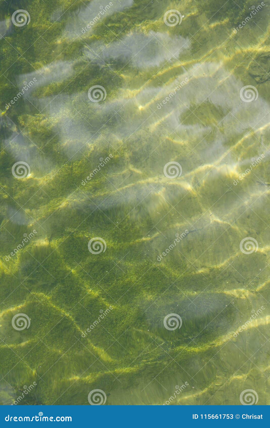 Sunlight on water ripples stock image. Image of texture - 115661753