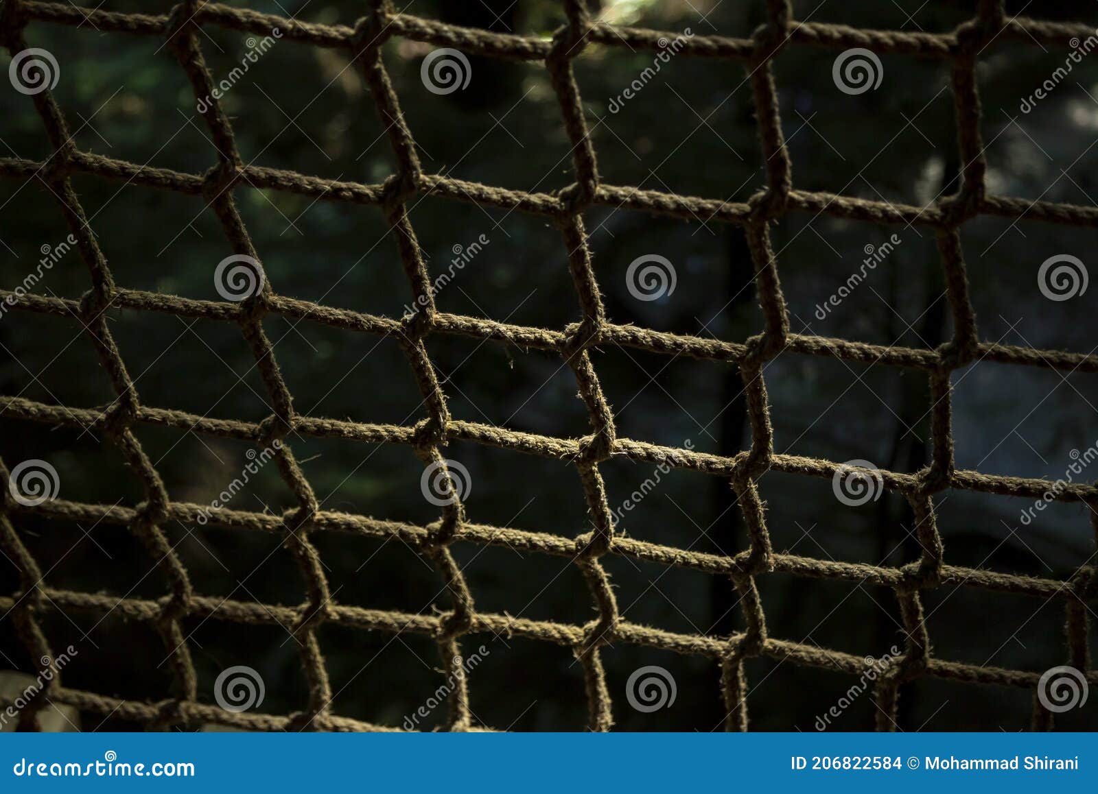Sunlight on Rope Net Pattern Stock Photo - Image of nature, crocodile ...