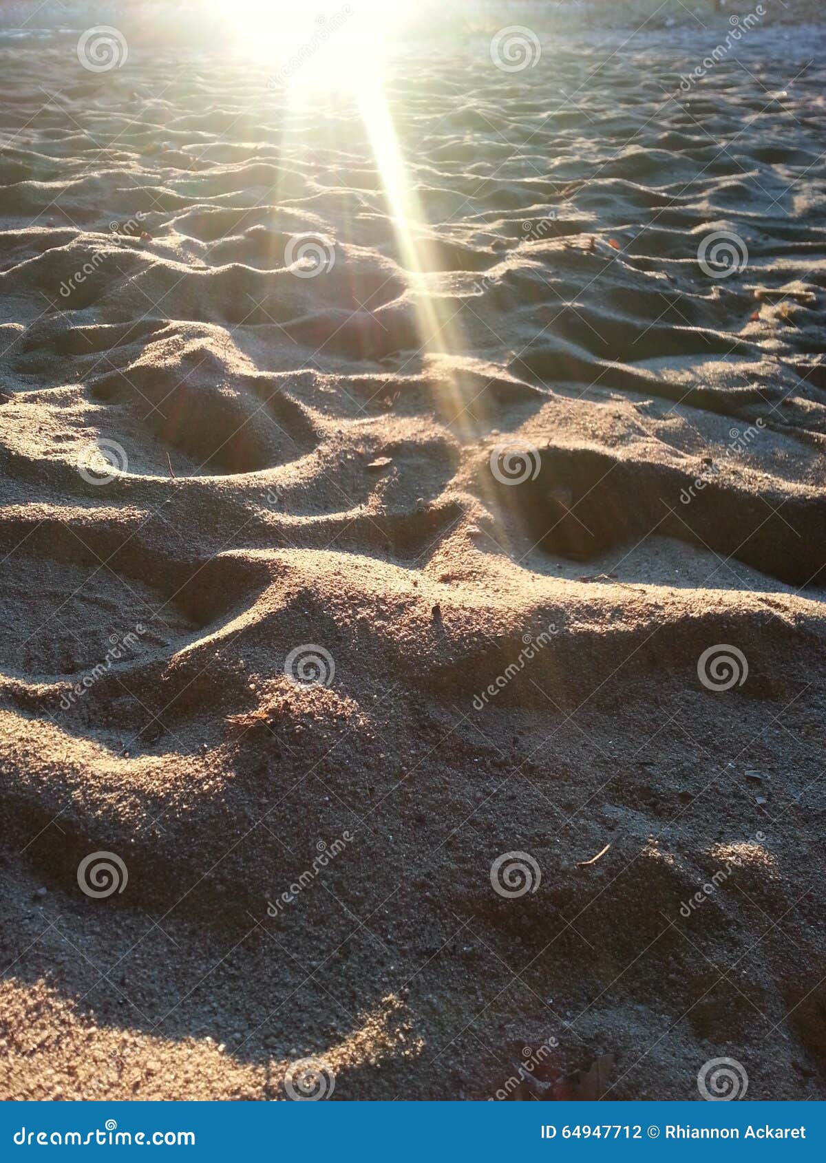 Sunlight on the Sand stock photo. Image of sand, evening - 64947712
