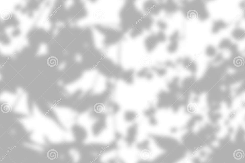 Sunlight Shadow on Abstract White Wall Background Texture Stock ...